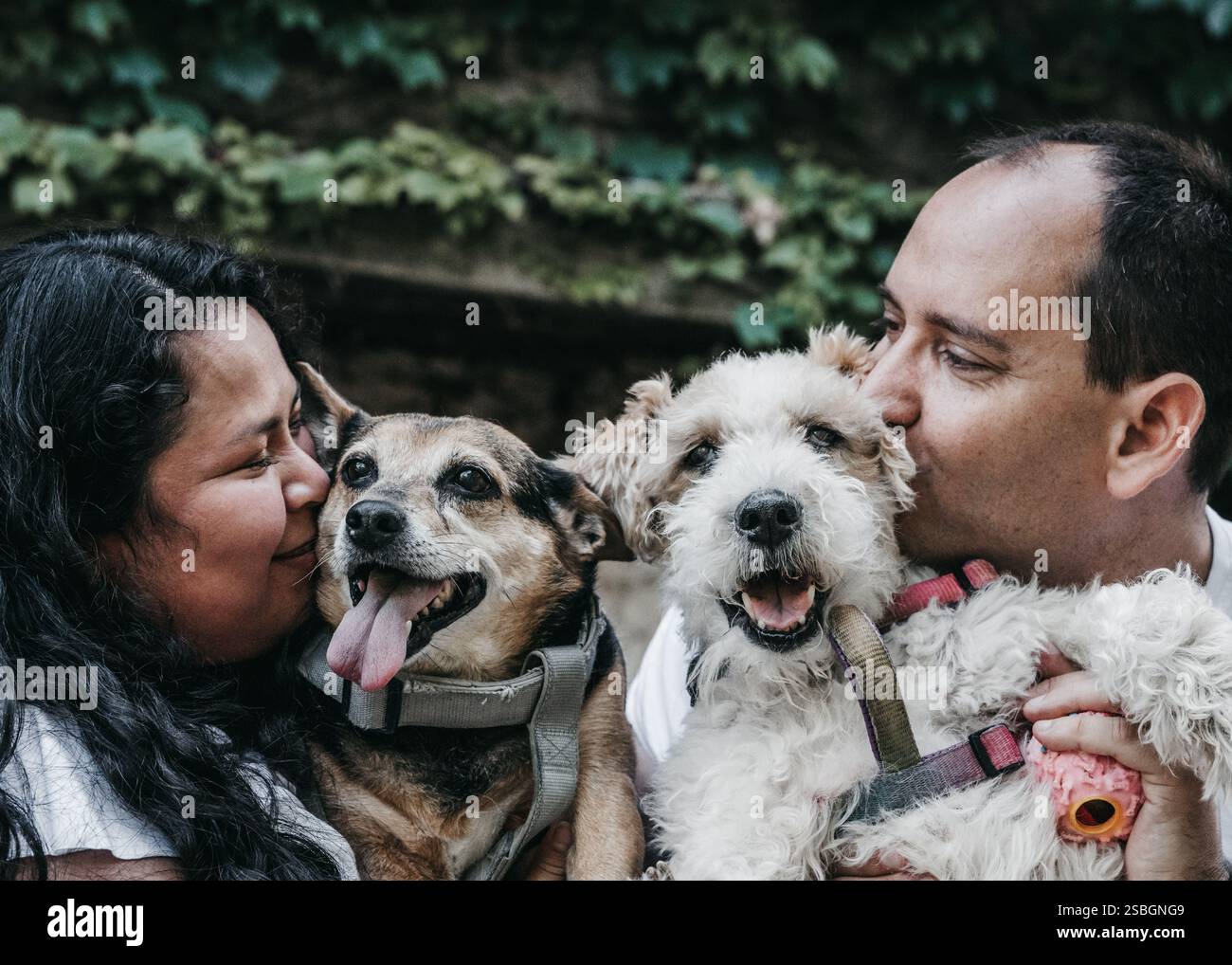 Loving kisses hi-res stock photography and images - Alamy