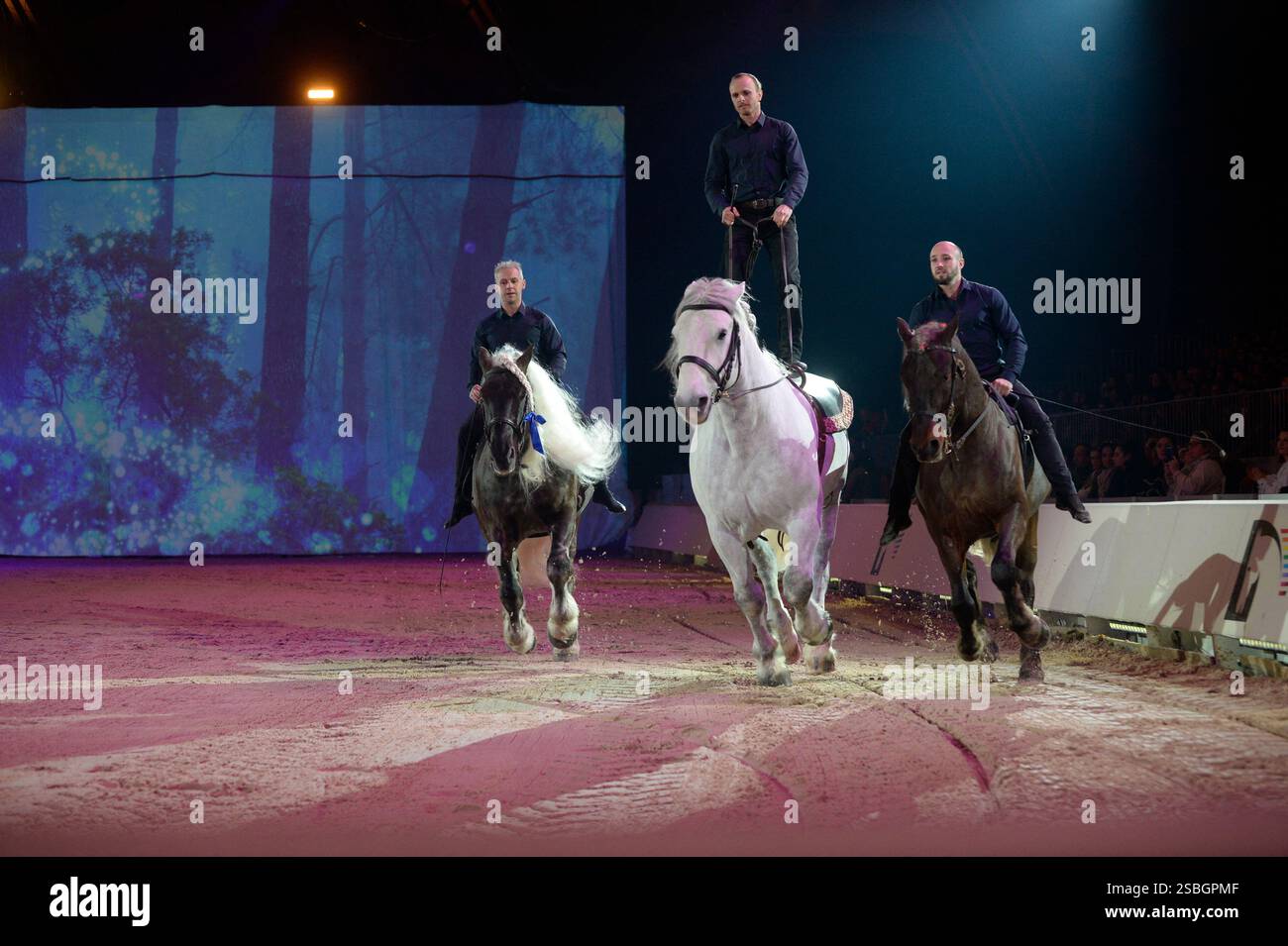 Elise Roméo presents her show “l'équilibre des forces”. This dressage ...