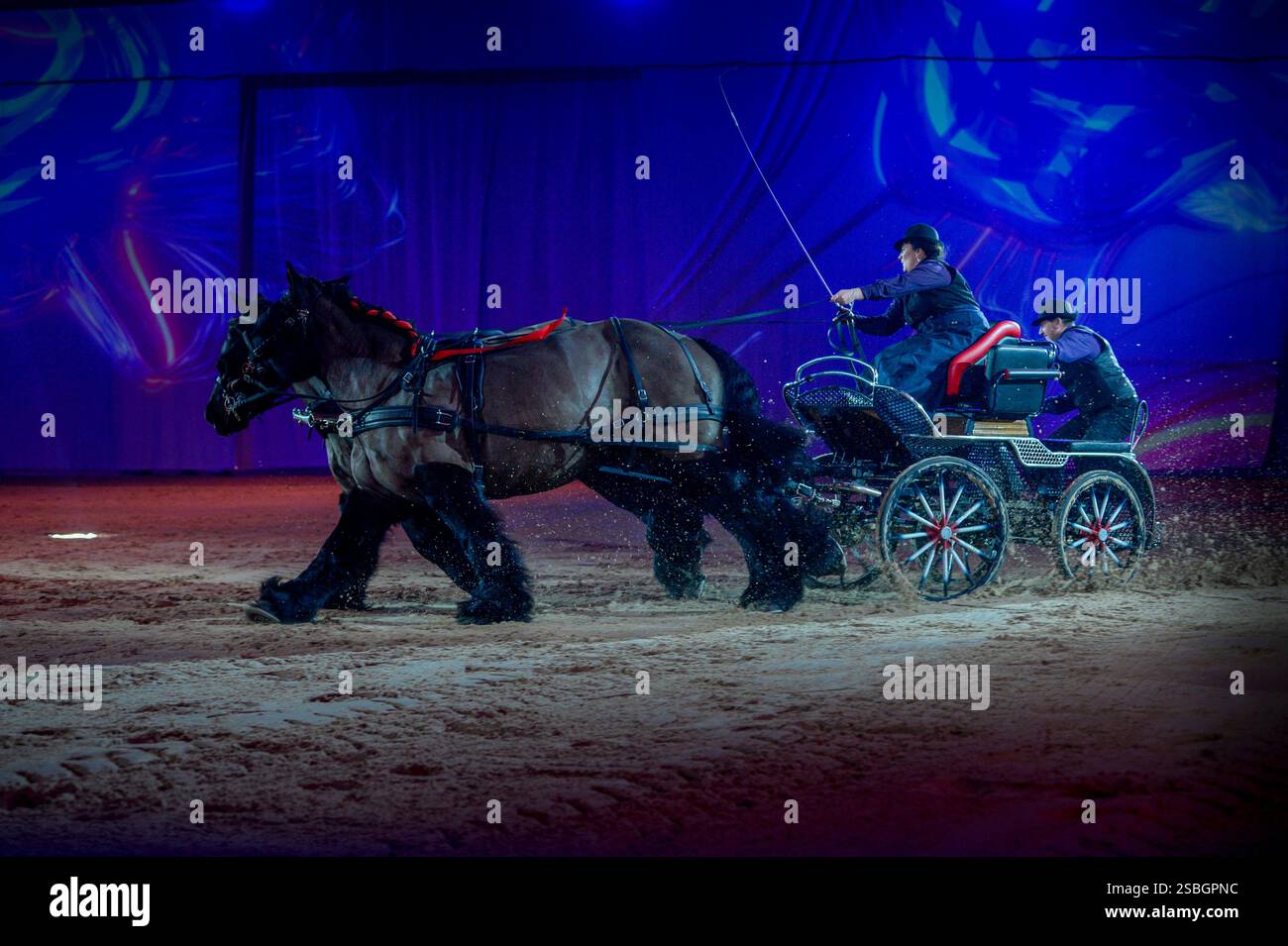 Elise Roméo presents her show “l'équilibre des forces”. This dressage ...