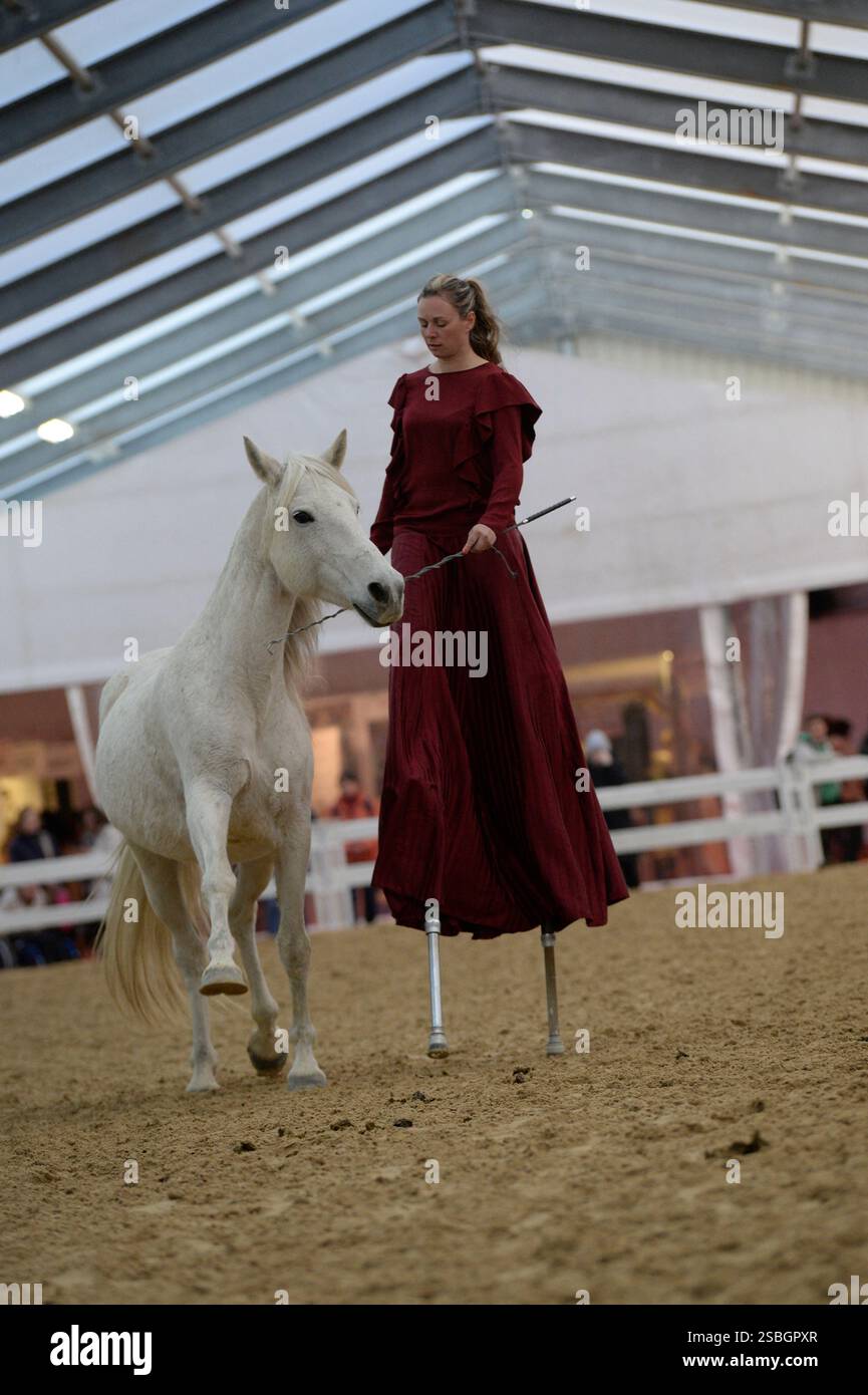 The Spanish step is an artificial gait of the horse, which consists of ...