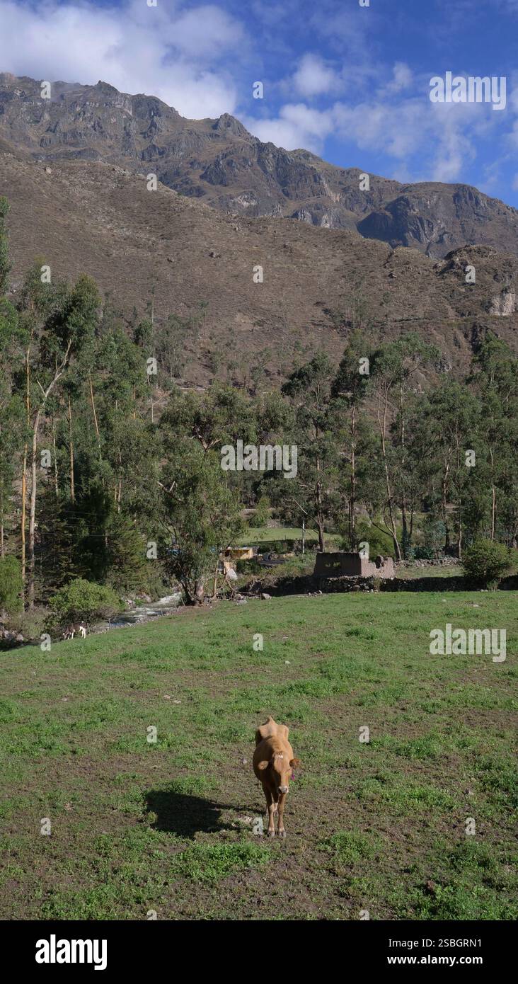 Obrajillo, peru hi-res stock photography and images - Alamy