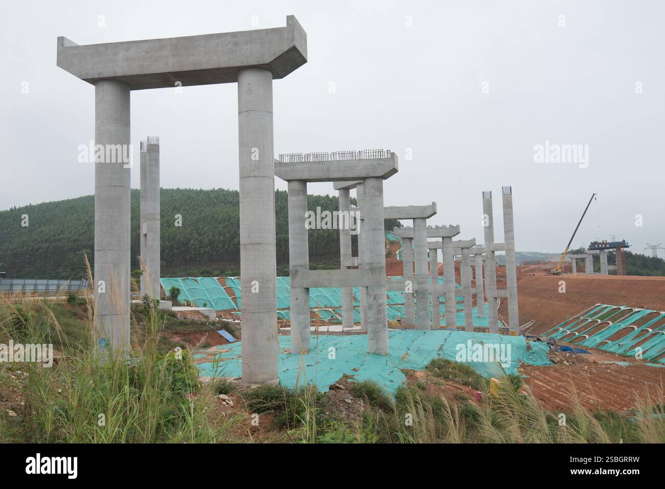 Freeway ramp bridge pier columns Stock Photo - Alamy