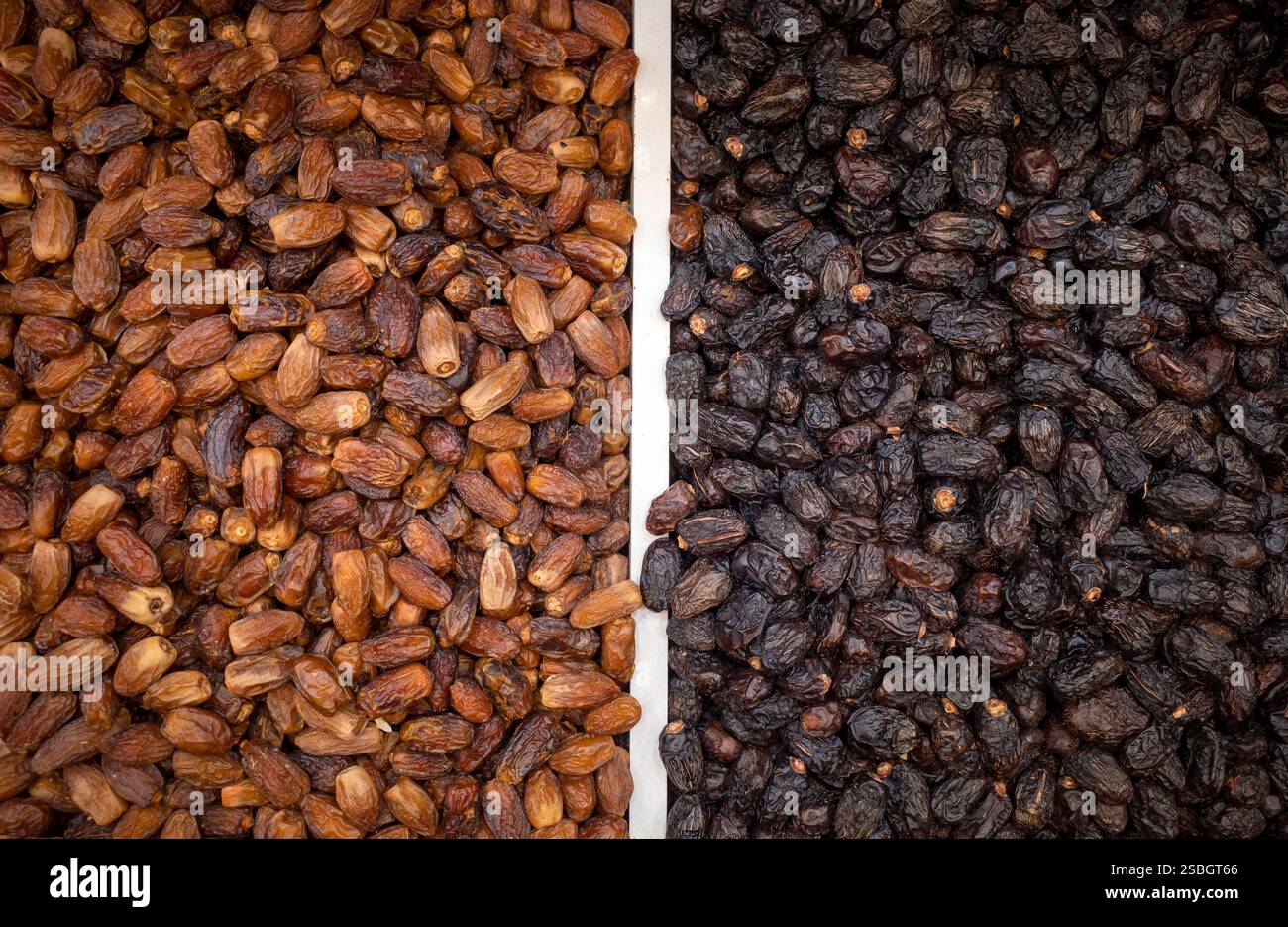 Sweet dates fruit in Dates Shop, Makkah City, Saudi Arabia in hajj ...