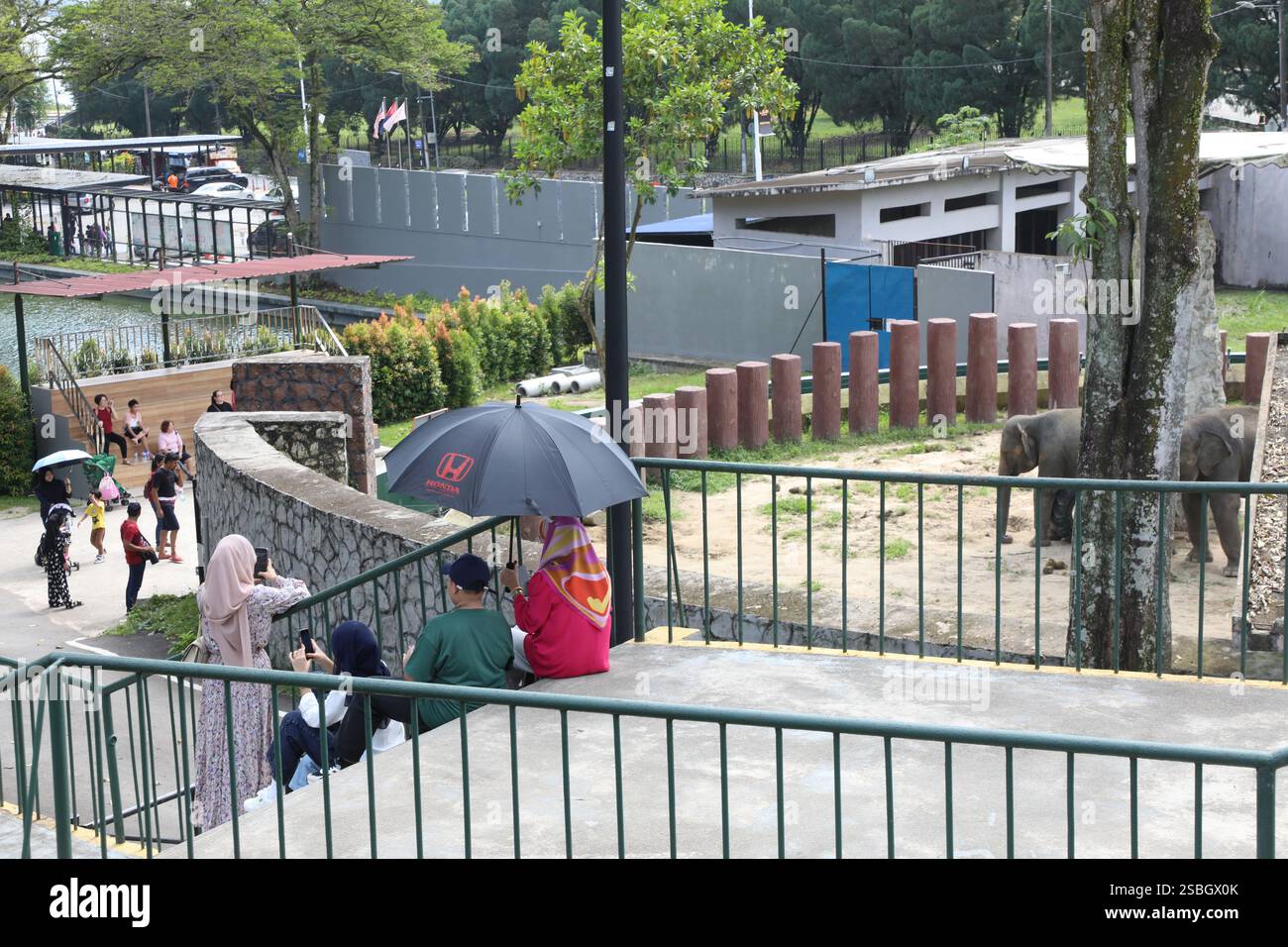 Johor Zoo, Jalan Gertak Merah, Taman Istana, 80000 Johor Bahru ...