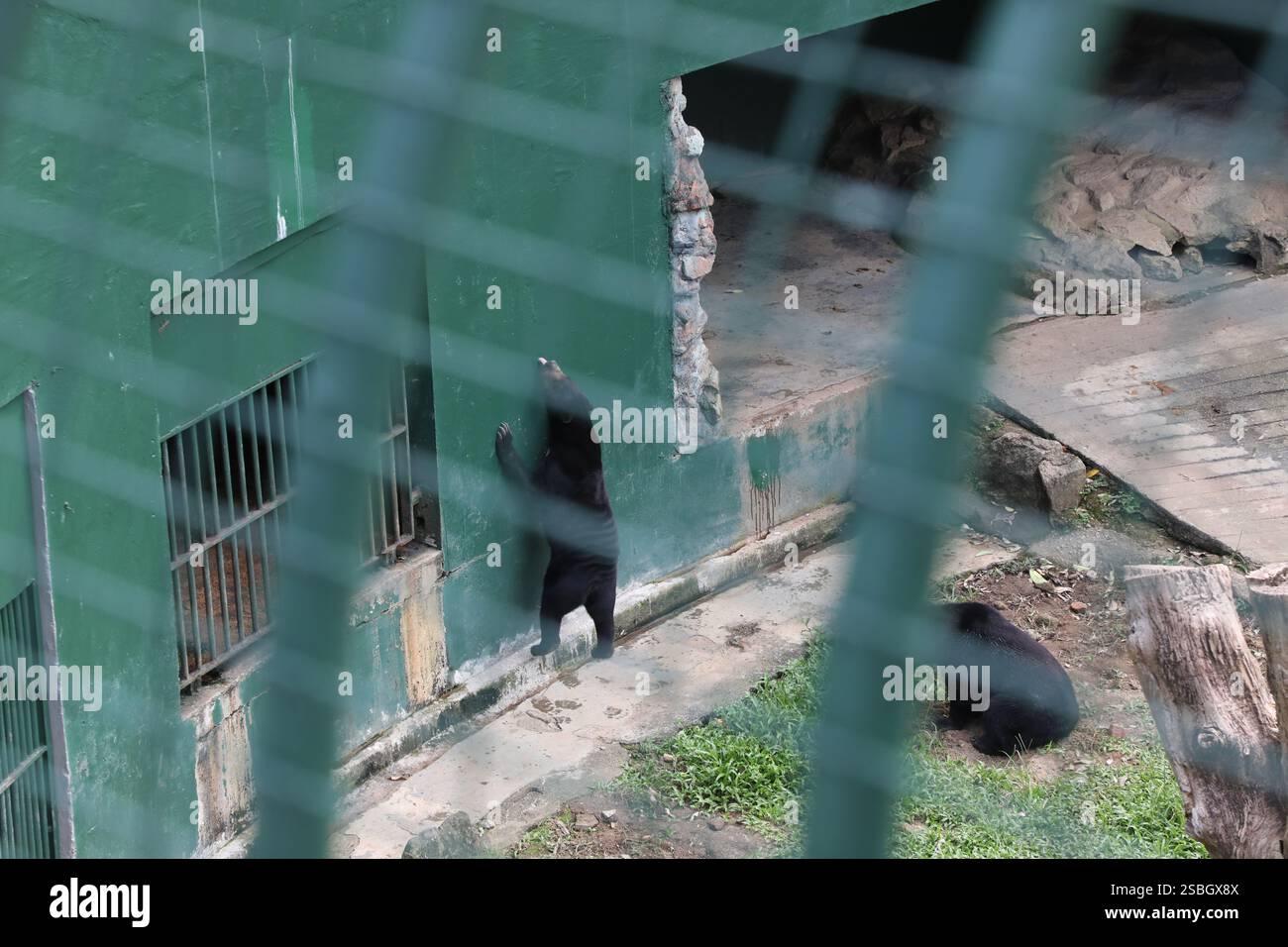 Johor Zoo, Jalan Gertak Merah, Taman Istana, 80000 Johor Bahru ...