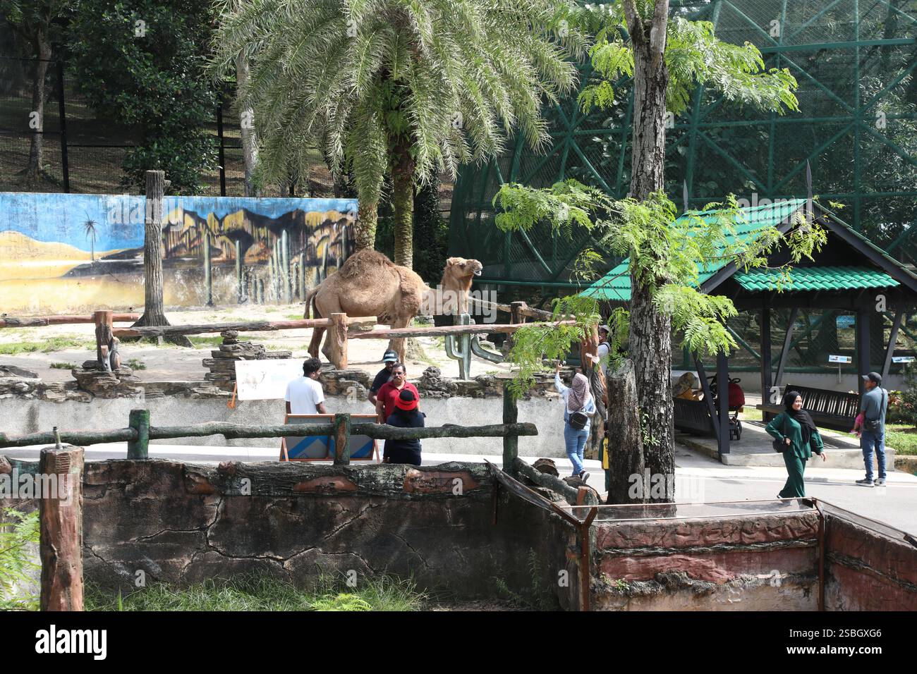 A camel at Johor Zoo, Jalan Gertak Merah, Taman Istana, 80000 Johor ...