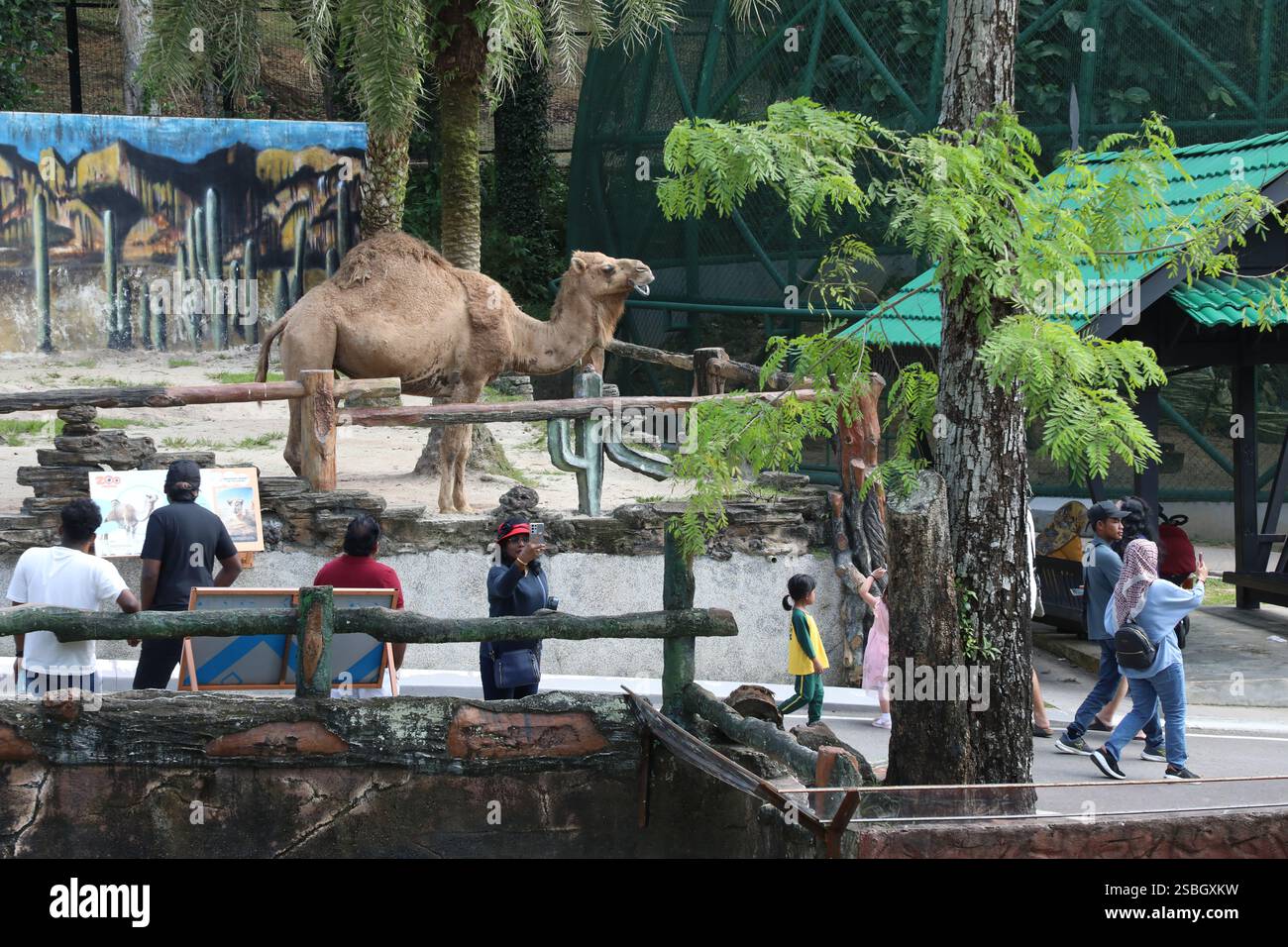 A camel at Johor Zoo, Jalan Gertak Merah, Taman Istana, 80000 Johor ...