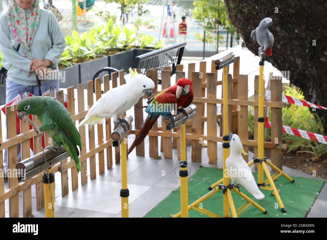 Johor Zoo, Jalan Gertak Merah, Taman Istana, 80000 Johor Bahru ...