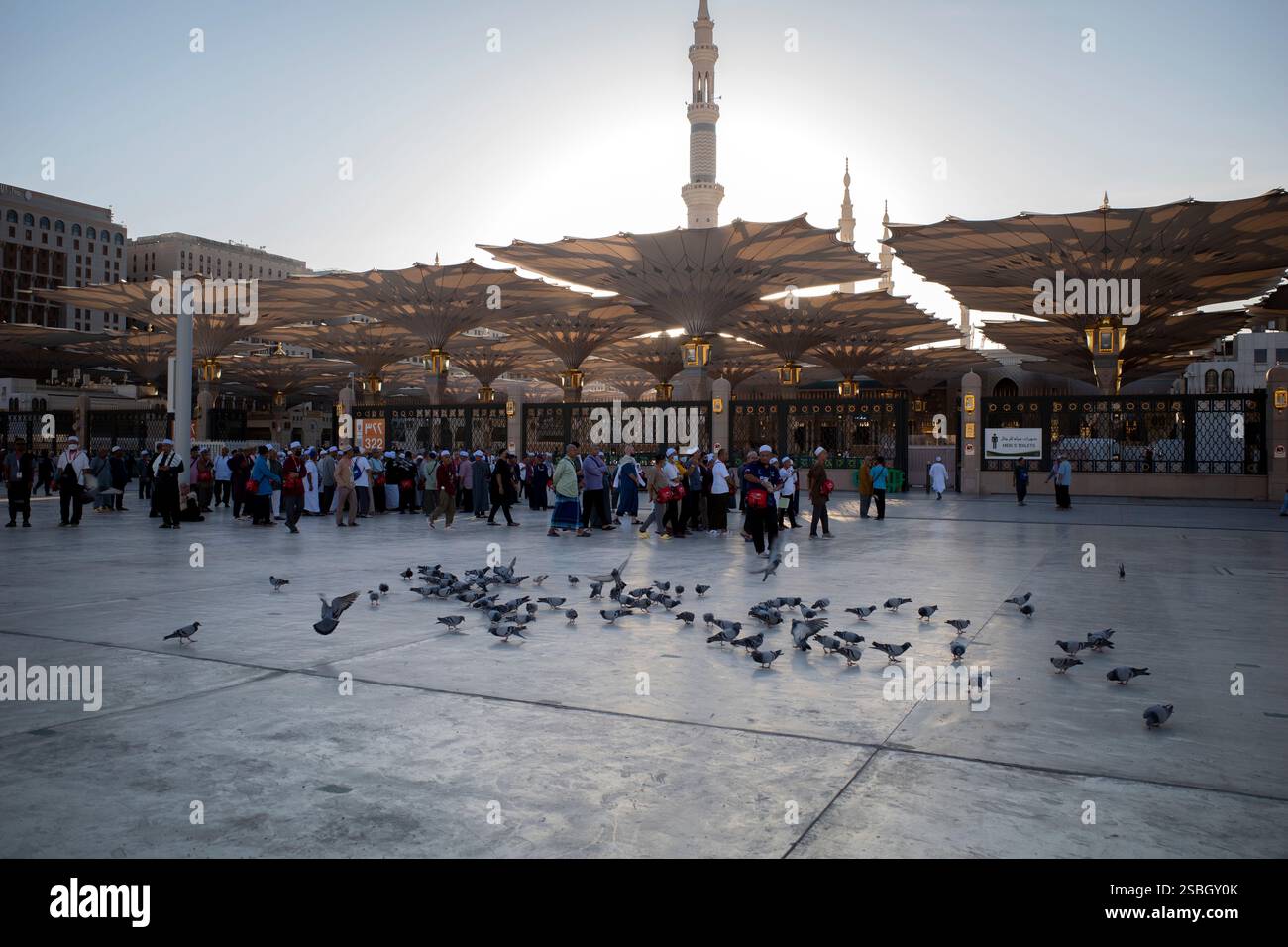 Pilgrims praying madinah hi-res stock photography and images - Alamy