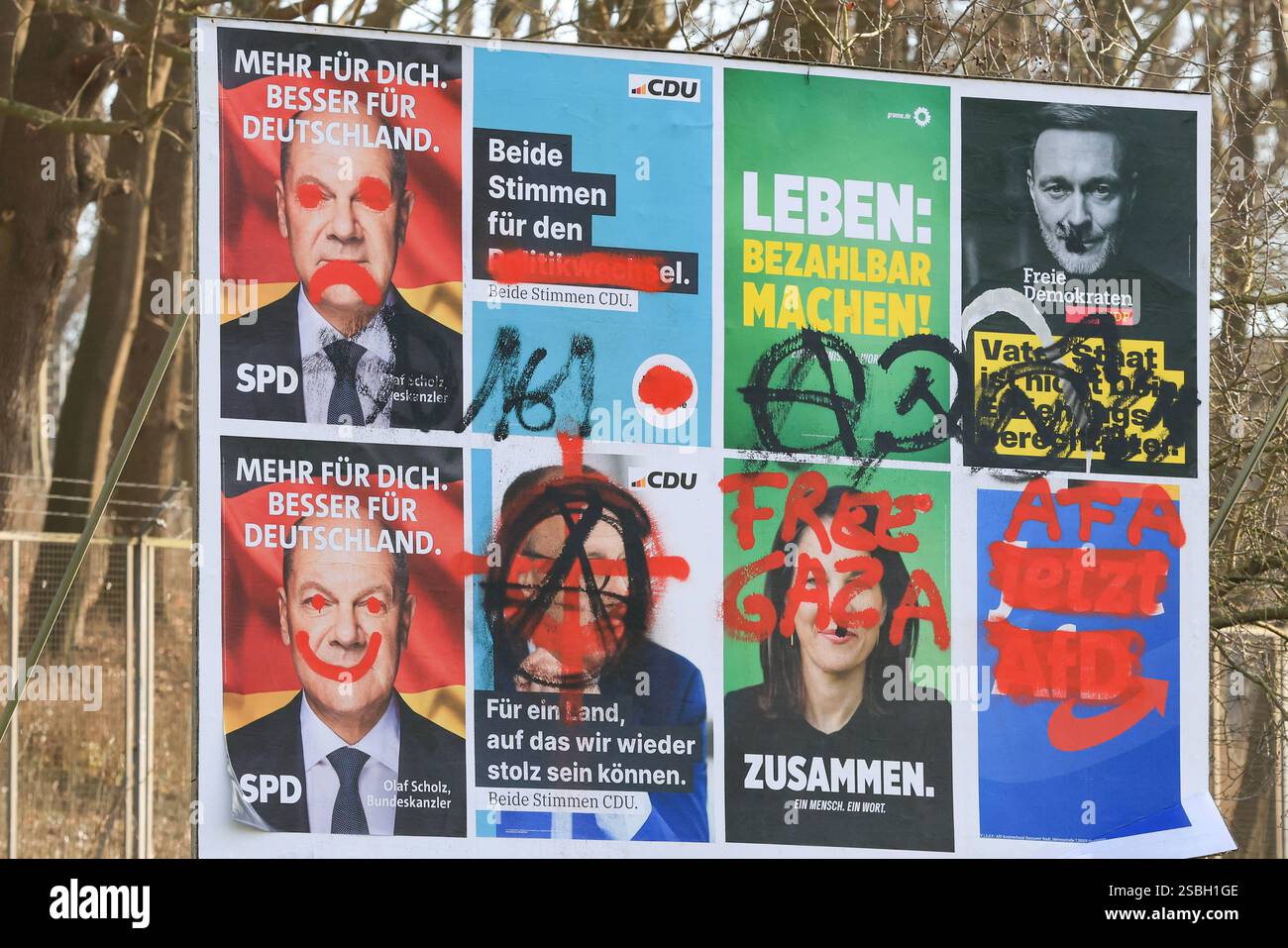 Niedersachsen, Hannover, Vandalismus im Wahlkampf: Über 360 Plakate in ...