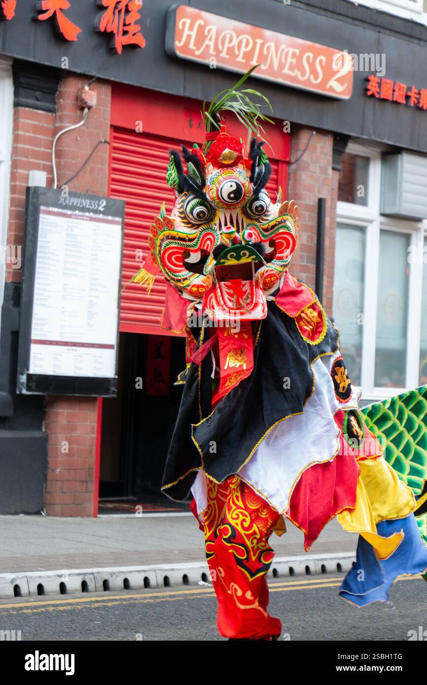 people in traditional dragon loong costume dancing at Chinese new year ...