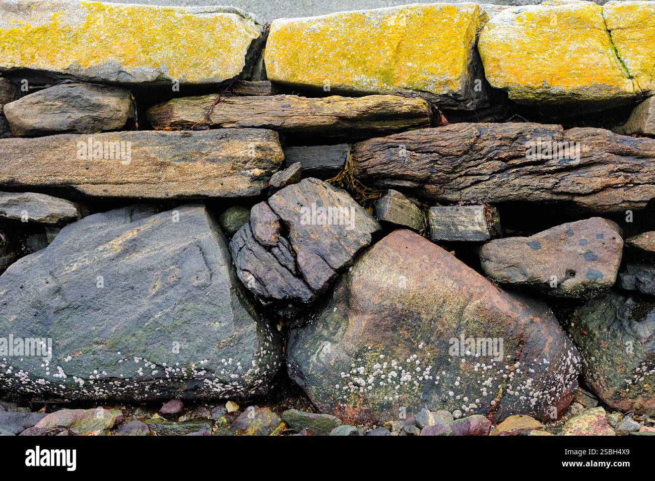Merge beautifully hi-res stock photography and images - Alamy
