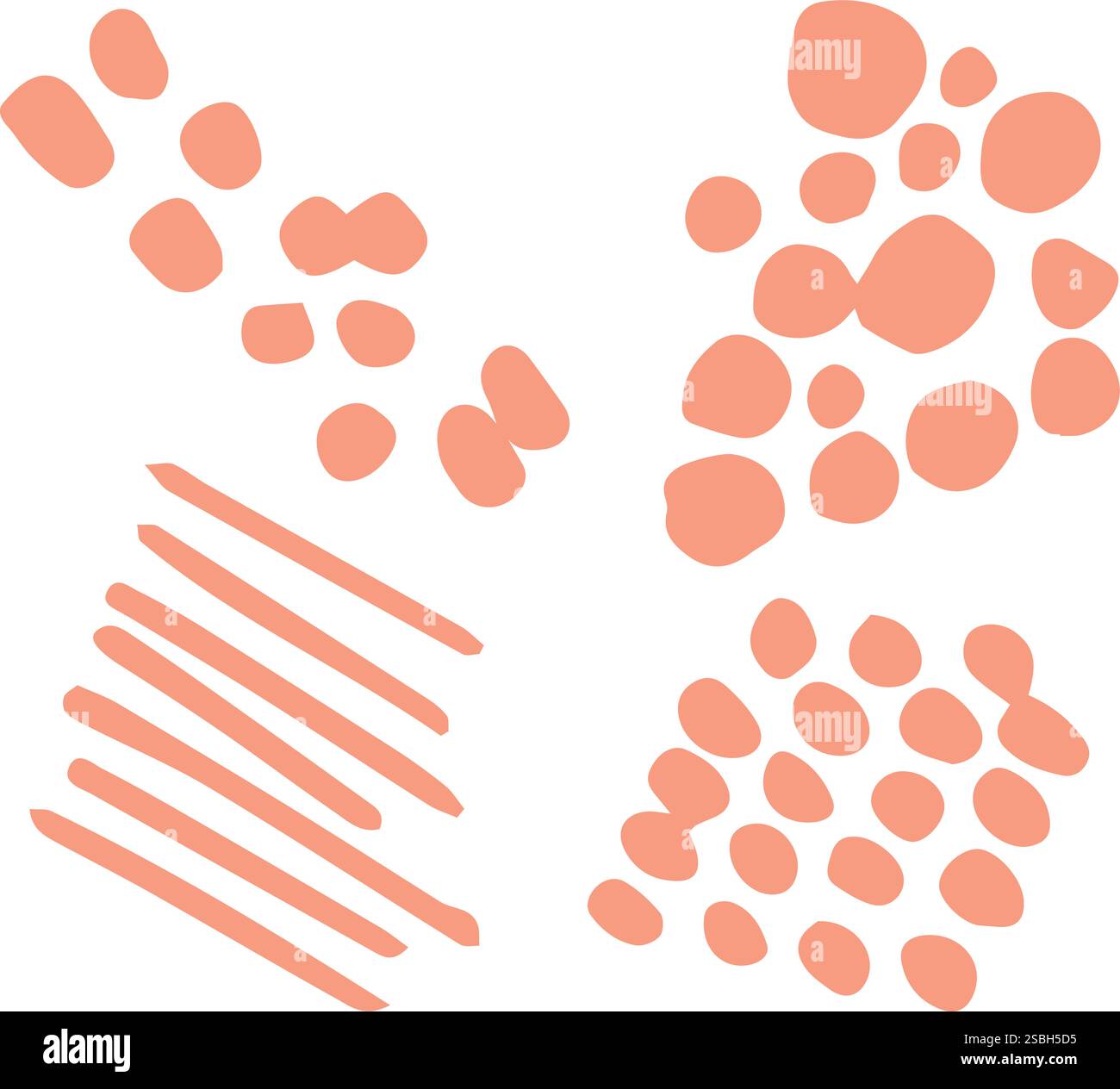 Abstract Minimalist Pattern With Organic Shapes and Lines in Warm Colors Stock Vector Image ...