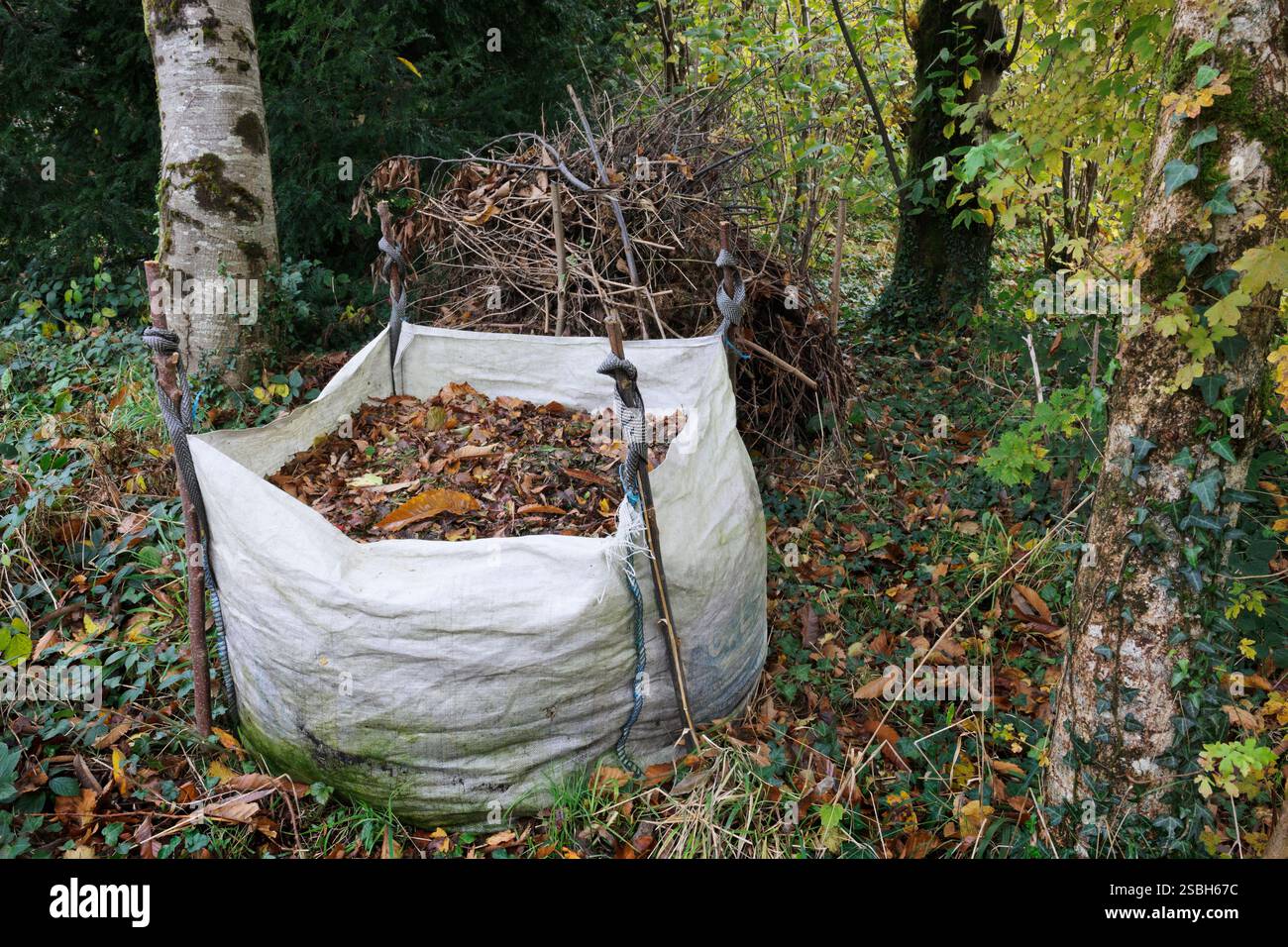 Storing fallen leaves hi-res stock photography and images - Alamy