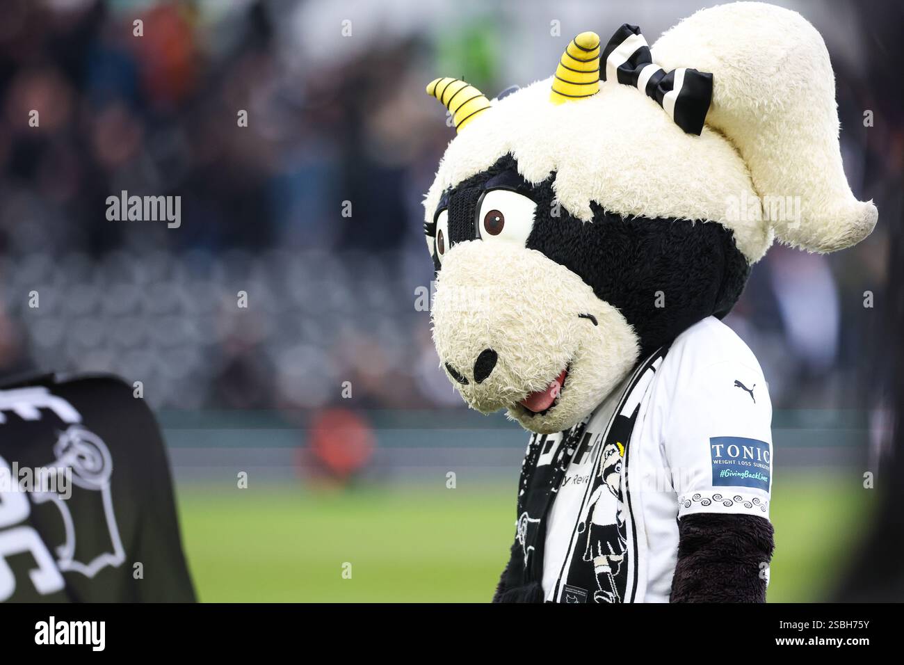 Derby County mascot Rammie before the Sky Bet Championship match at ...