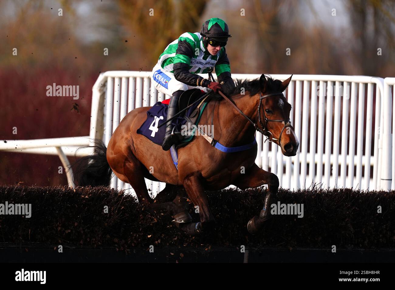 My Cullen ridden by Brendan Powell during the Grace and Dotty Fedora's ...