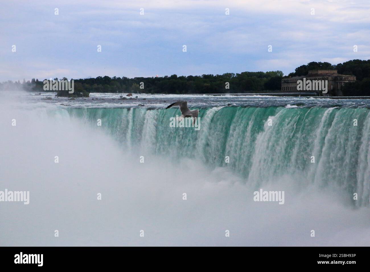 A powerful waterfall tumbles into the river below while a bird glides ...