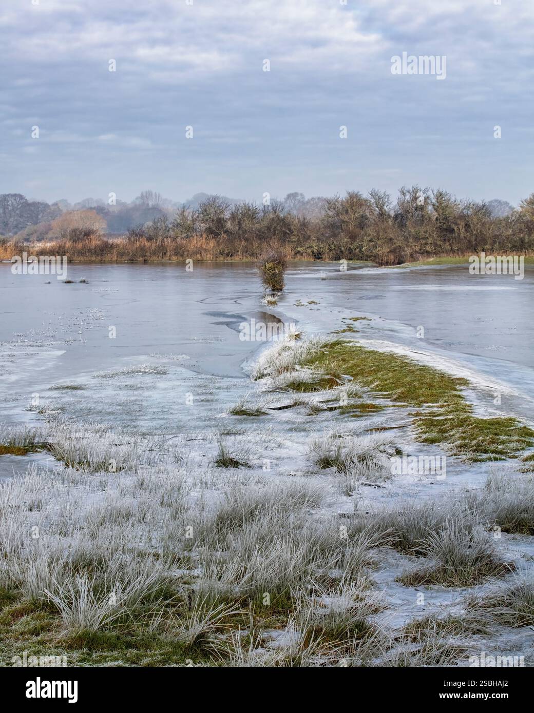 Frozen flood plains of River Adur Stock Photo - Alamy