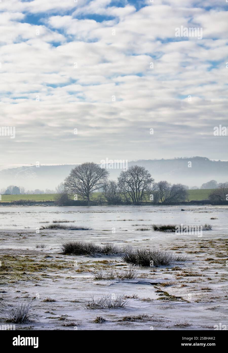Frozen flood plains of River Adur Stock Photo - Alamy