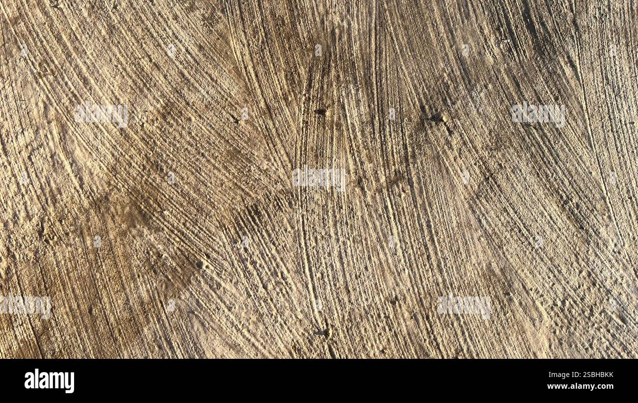 Textured sand shows patterns created by wind and movement in the late ...