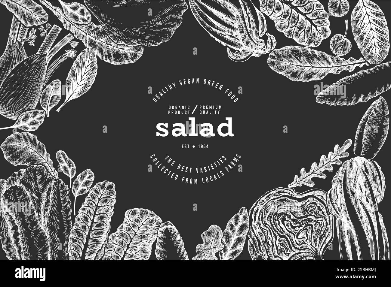 Green Vegetable Design Template. Vector Hand Drawn Healthy Leaf Salad ...