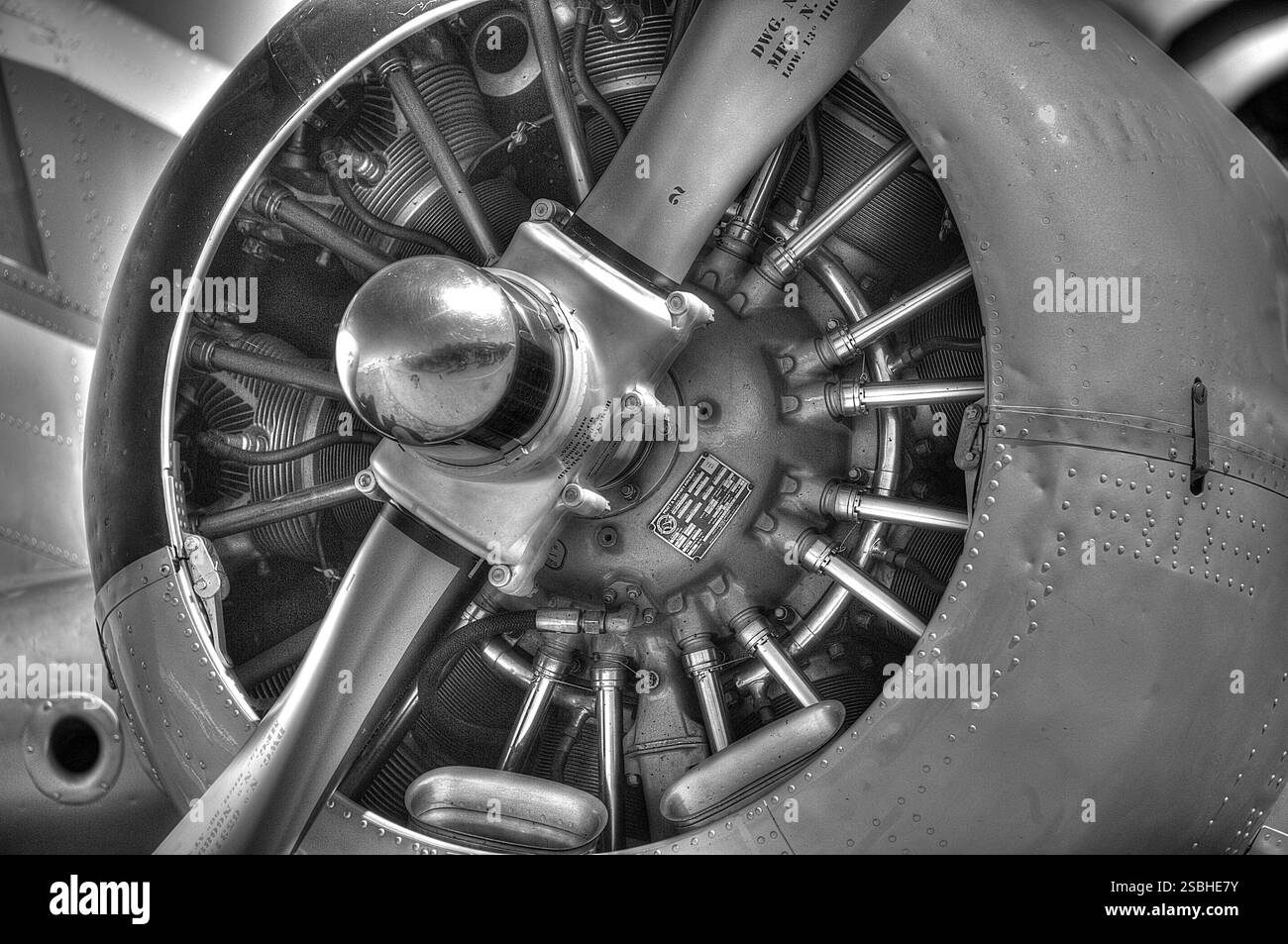 Twin beech Black and White Stock Photos & Images - Alamy