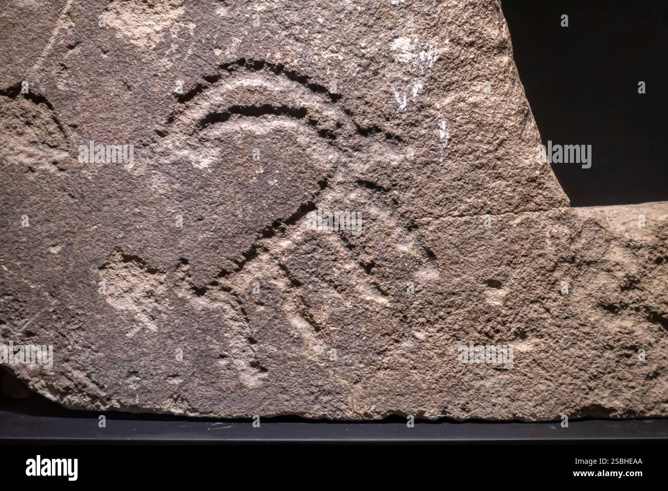 Petroglyph depicting a human figure, andesite, Trisin plateau, Neolith ...