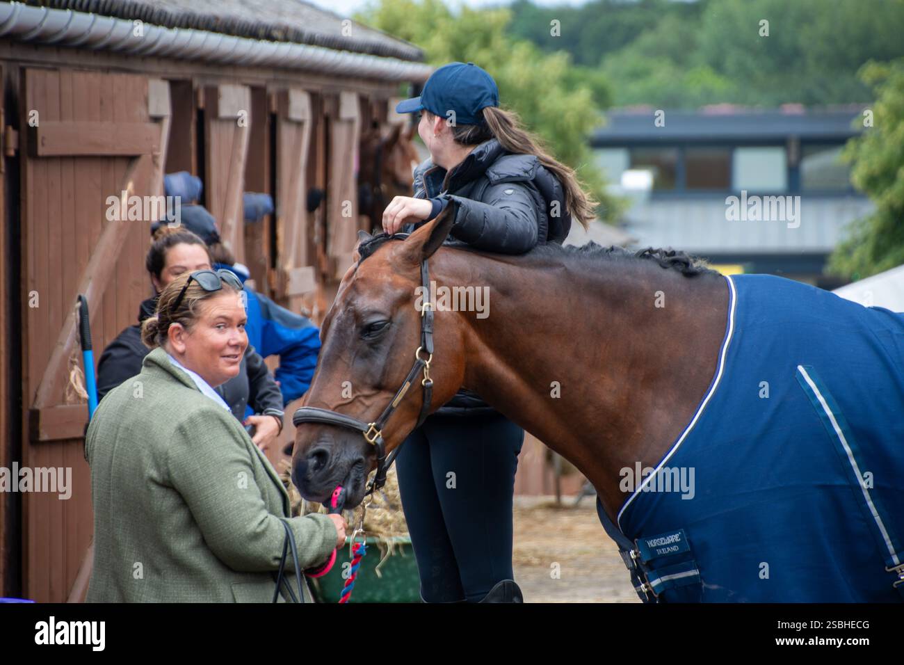 Preparing horses for a contest at The Great Yorkshire Show, England ...