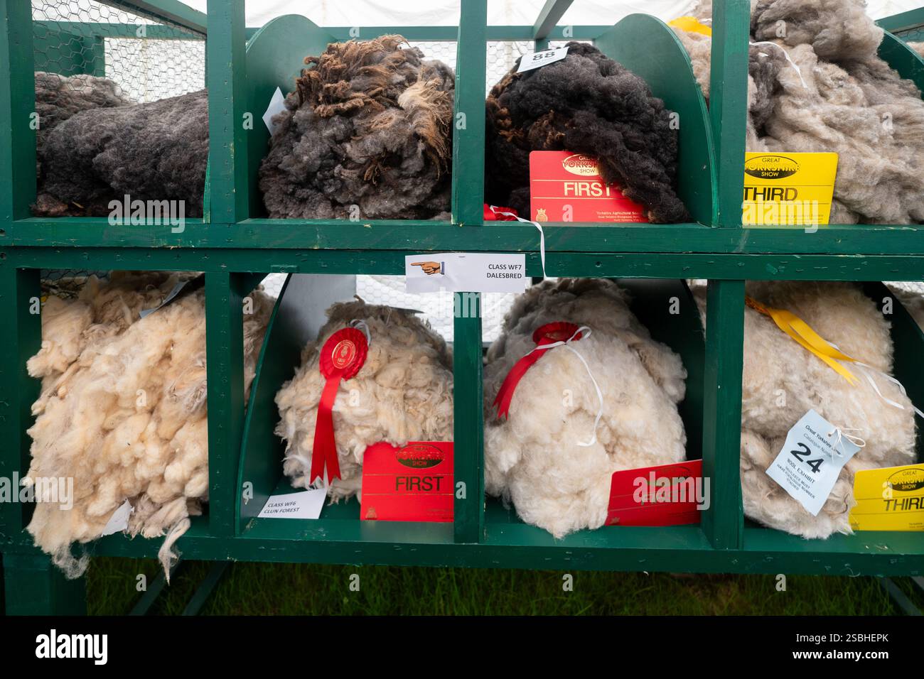 Wool Display at The Great Yorkshire Show, England Stock Photo - Alamy