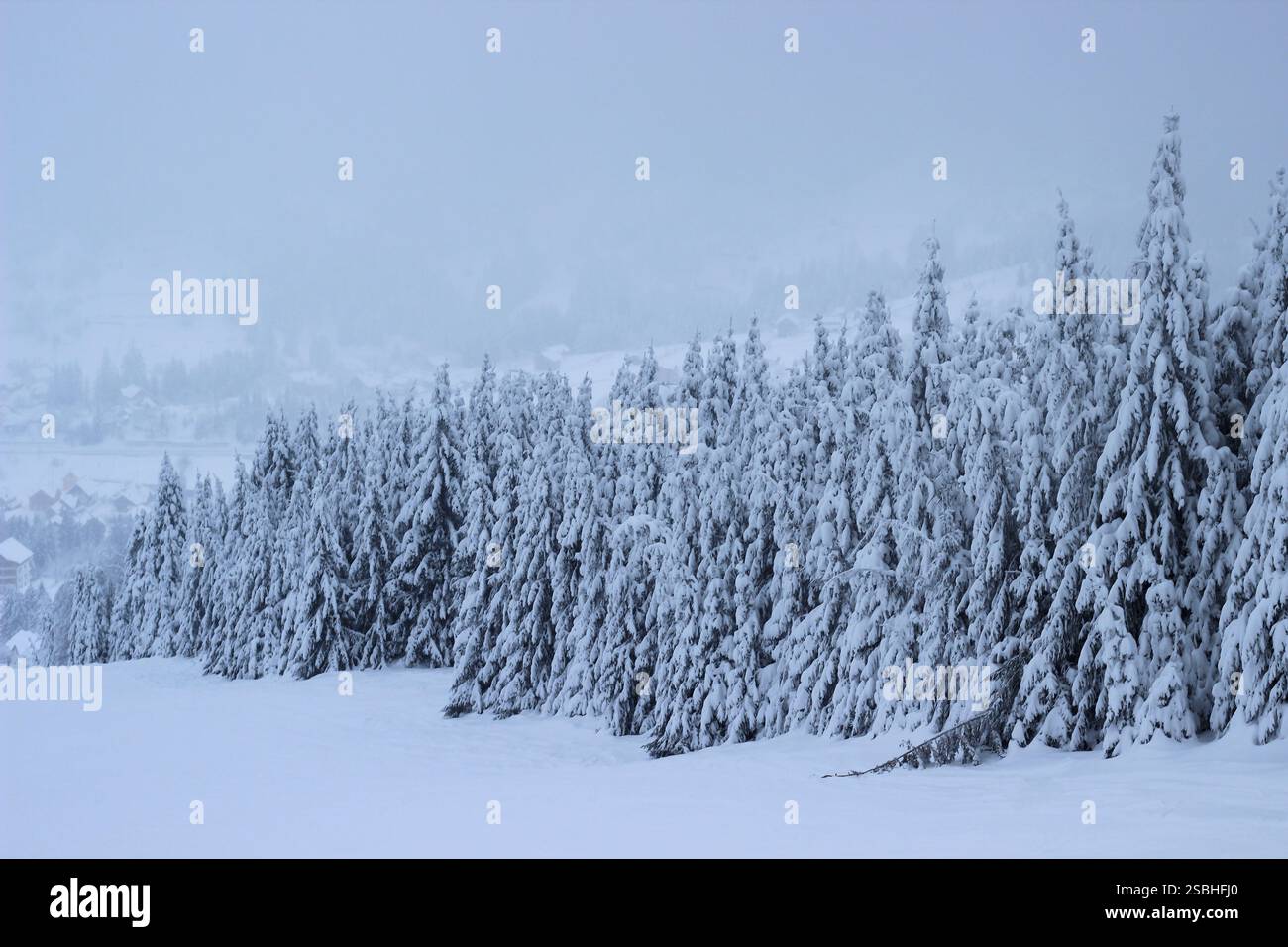 winter landscapes with lots of snow in Romania Stock Photo - Alamy