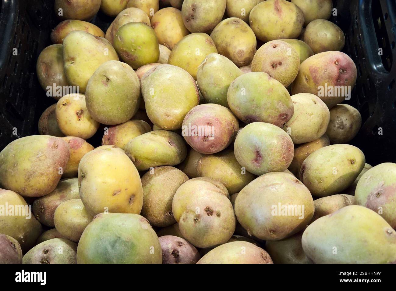 Papas Antiguas de Canarias sind Kartoffeln der auf den Kanarischen ...