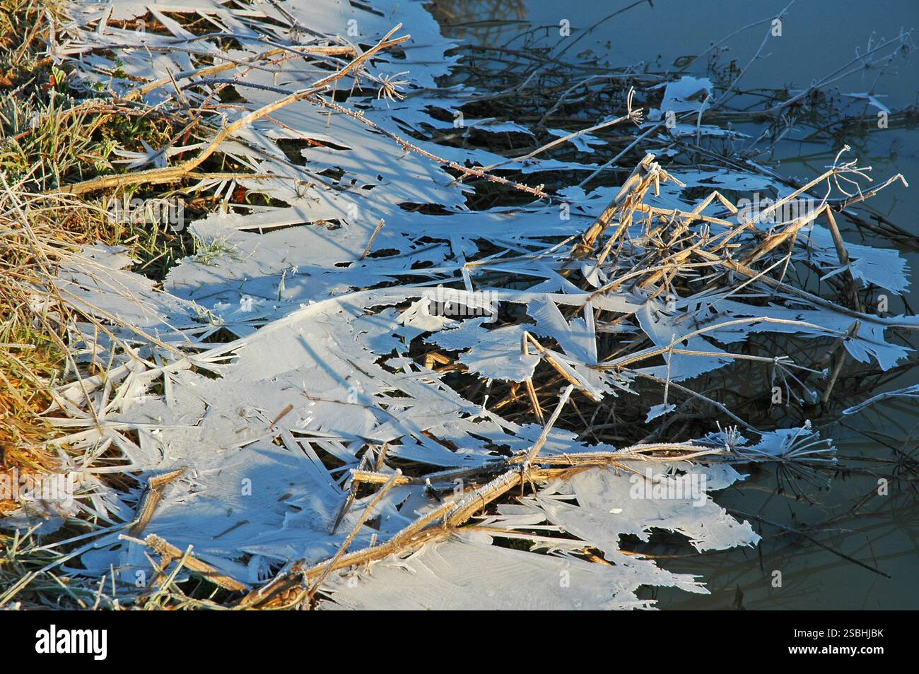 Frost, ice on edge of drainage ditch. Coastal Plain Stock Photo - Alamy