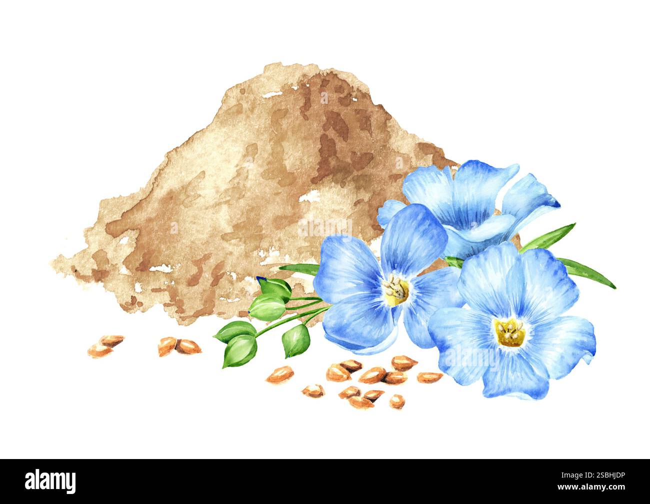 Flaxseed flour with flax seeds and flowers. Watercolor hand drawn ...