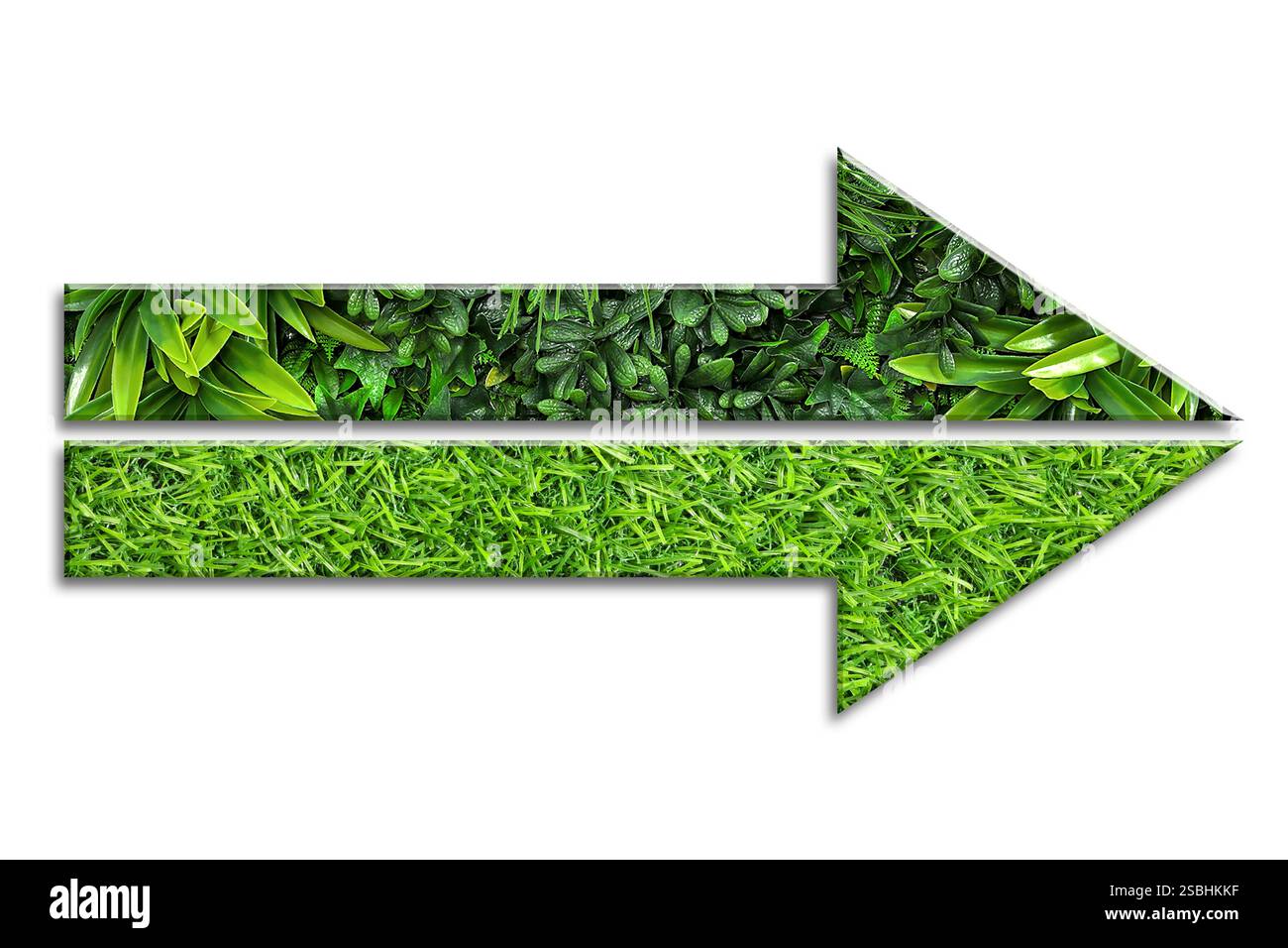 Arrow with green leaves of different plants and grass isolated on white ...