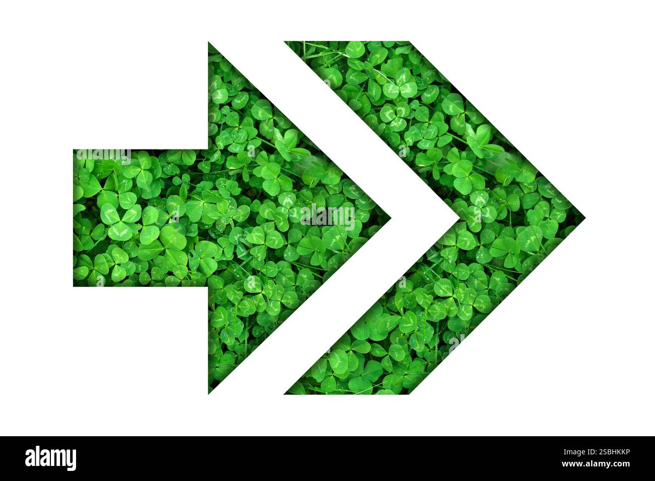 Arrow with green clover plants inside isolated on white Stock Photo - Alamy