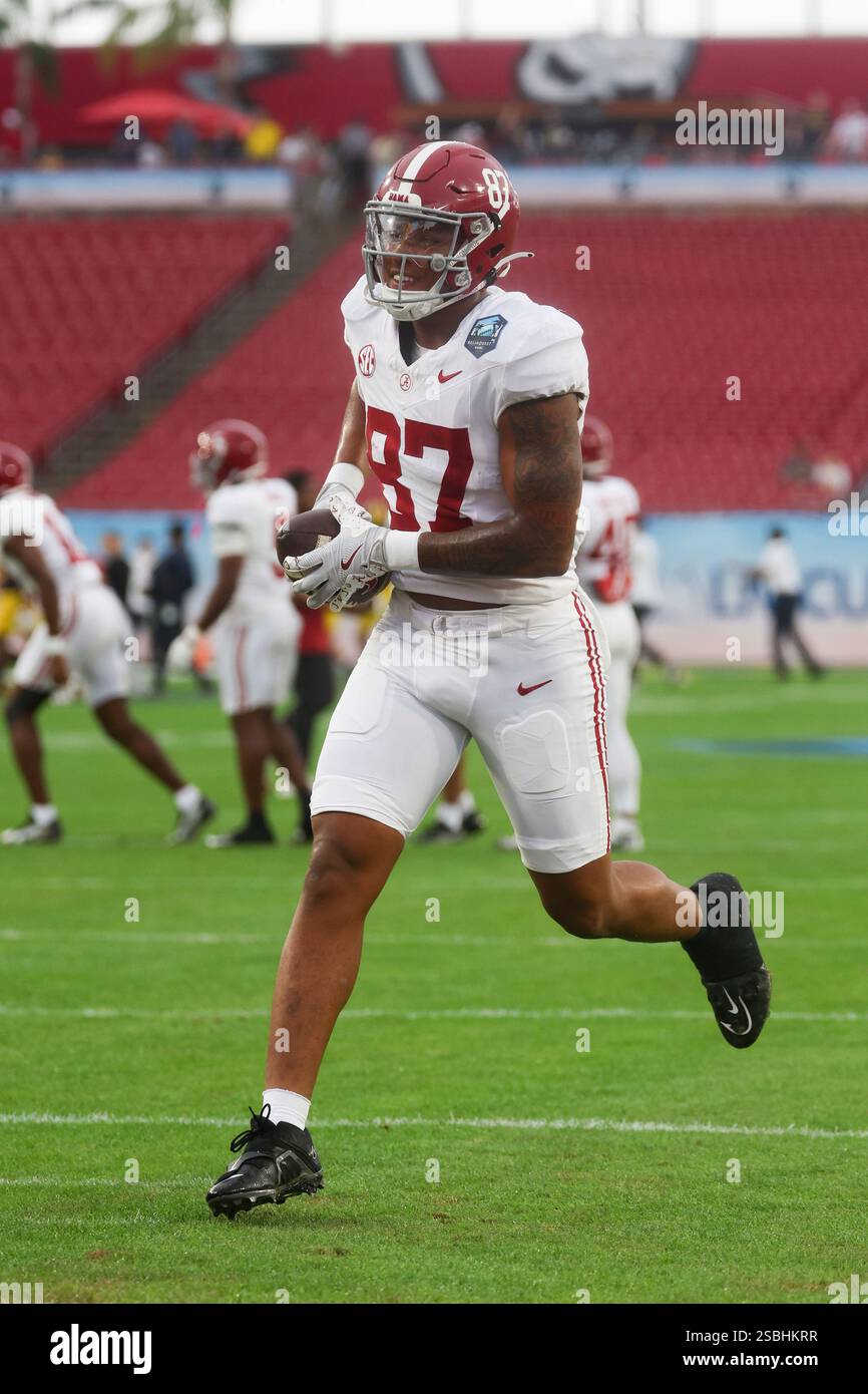 Alabama Crimson Tide tight end Danny Lewis Jr. (87) carries the ball ...