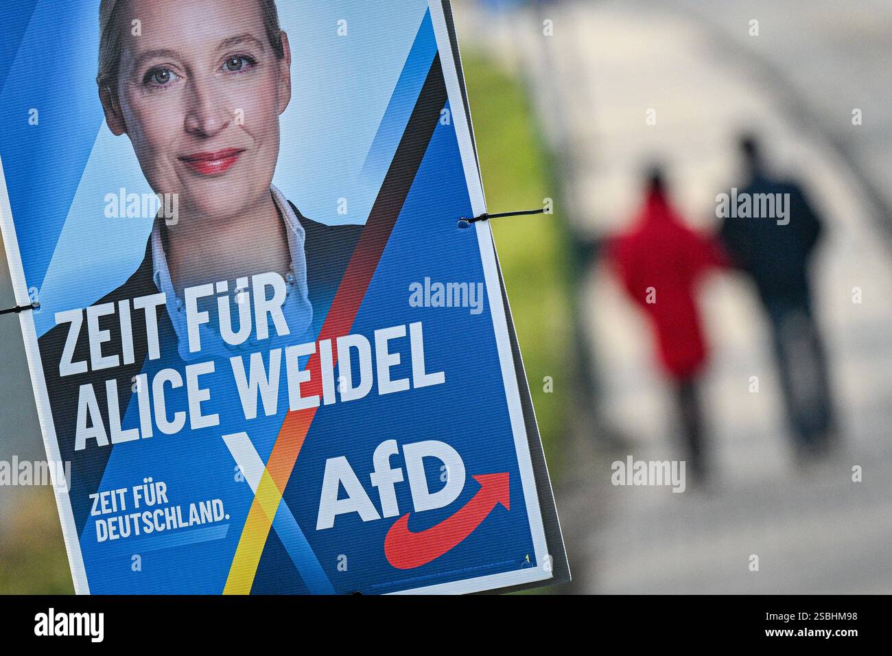 DEUWahlkampf AFD Blick auf Wahlkampf- Plakate in Kröpelin in ...