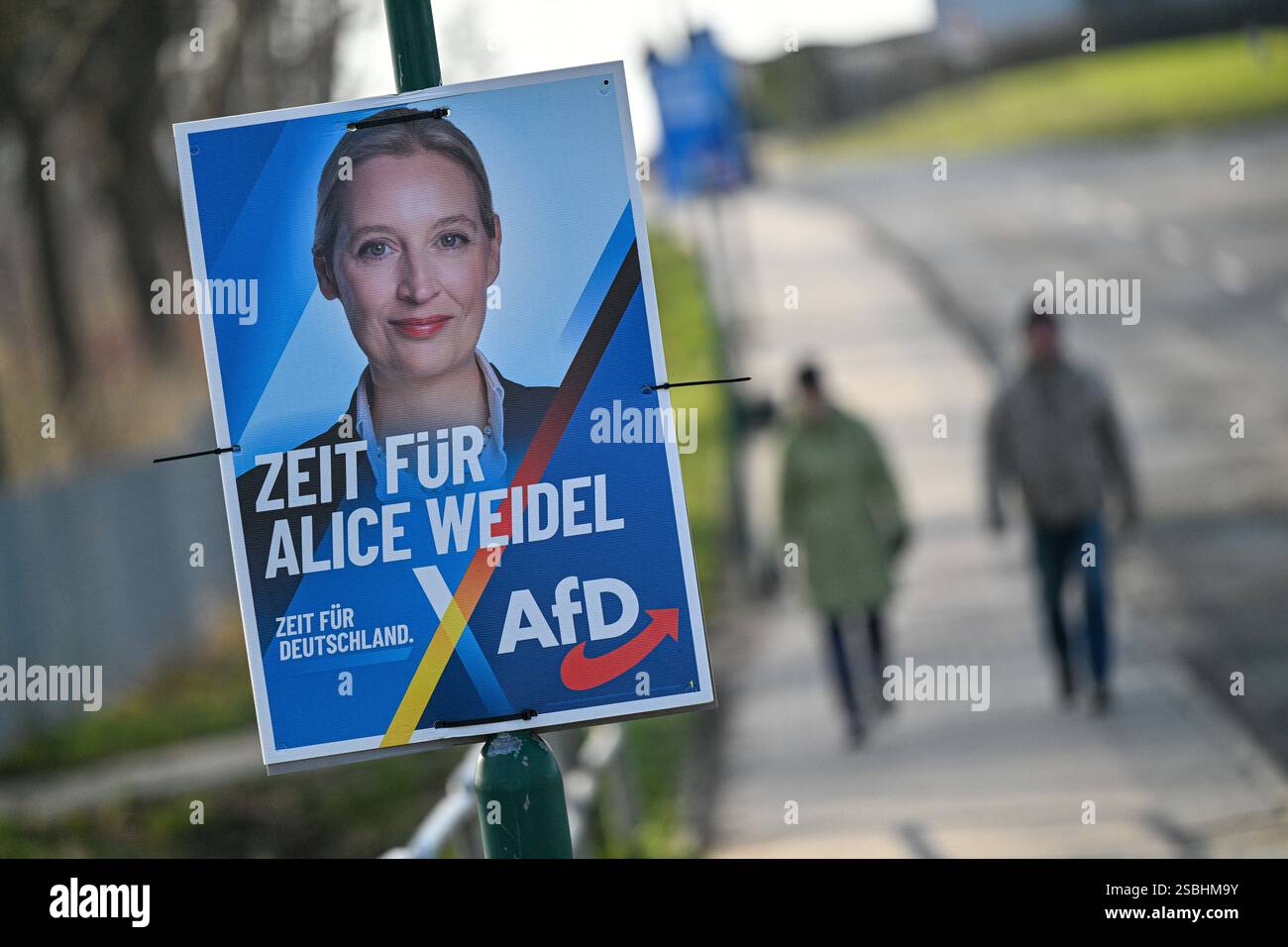 DEUWahlkampf AFD Blick auf Wahlkampf- Plakate in Kröpelin in ...