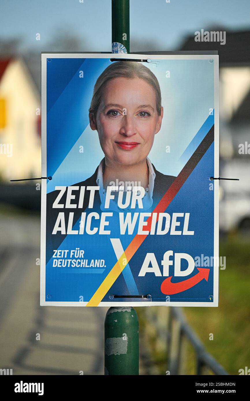 DEUWahlkampf AFD Blick auf Wahlkampf- Plakate in Kröpelin in ...