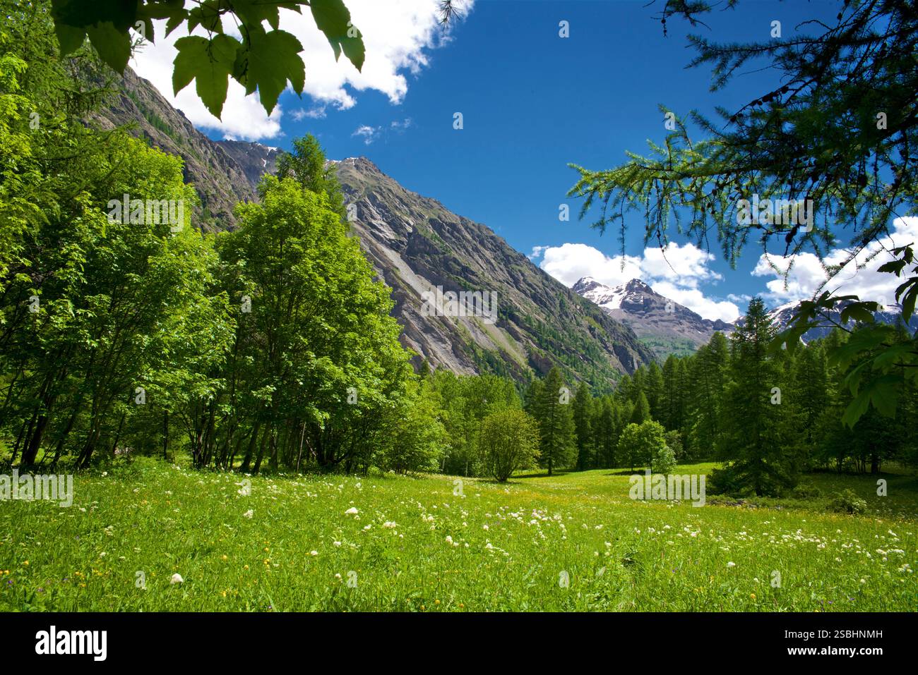 France24020 hi-res stock photography and images - Alamy