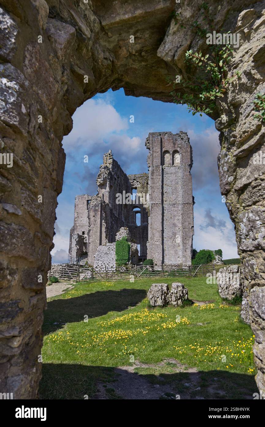 Medieval Corfe castle keep & battlements at sunrise, built in 1086 by ...