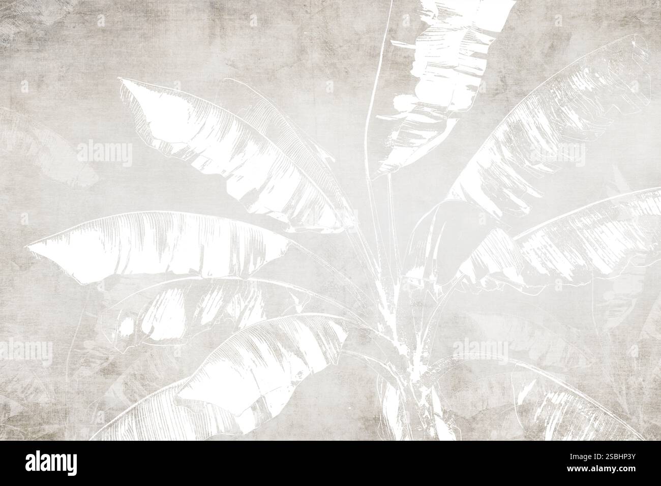 Tropical trees and leaves wallpaper design - Topical Mural - 3D ...