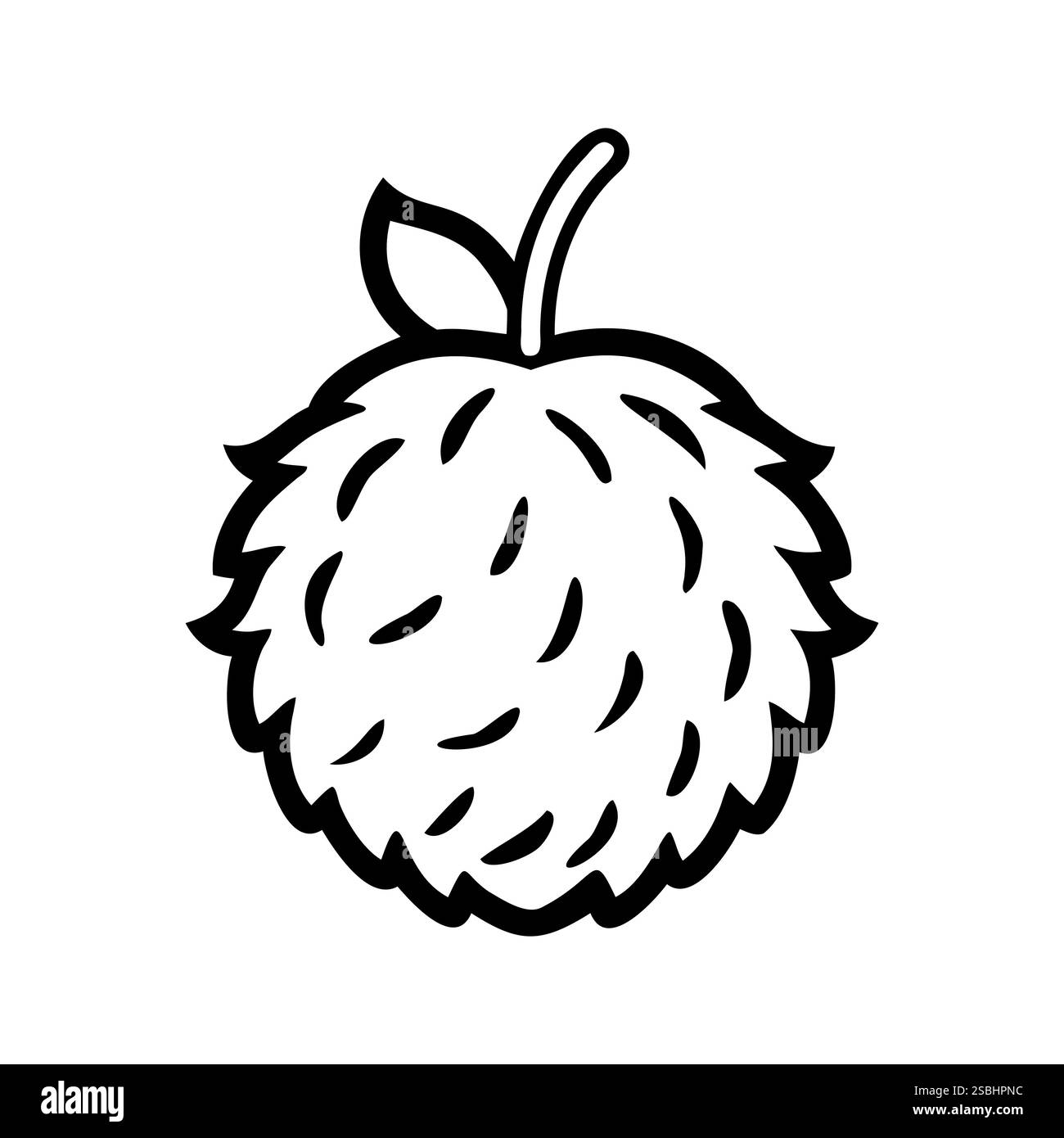 Lychee icon. Minimalist line drawing of a ripe lychee. Vector ...