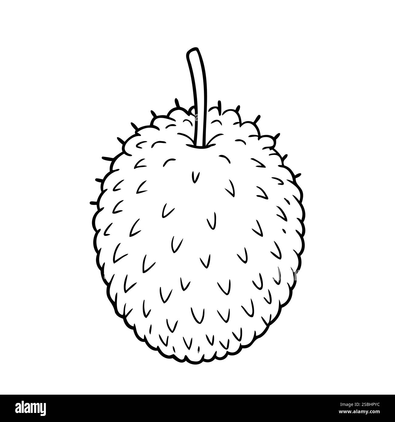 Lychee icon. Minimalist line drawing of a ripe lychee. Vector ...
