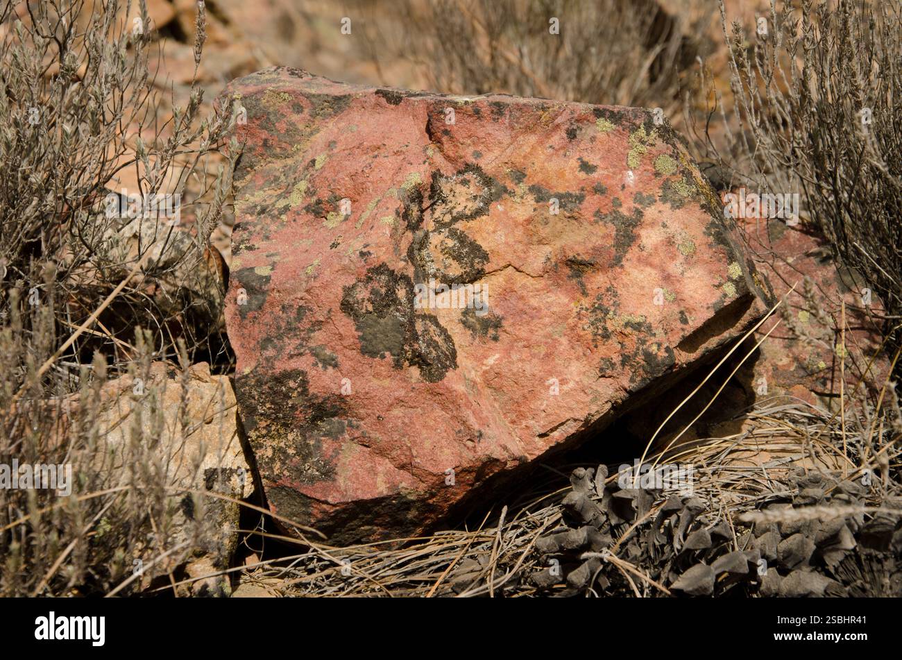 Stone in the Integral Natural Reserve of Inagua. Gran Canaria. Canary ...