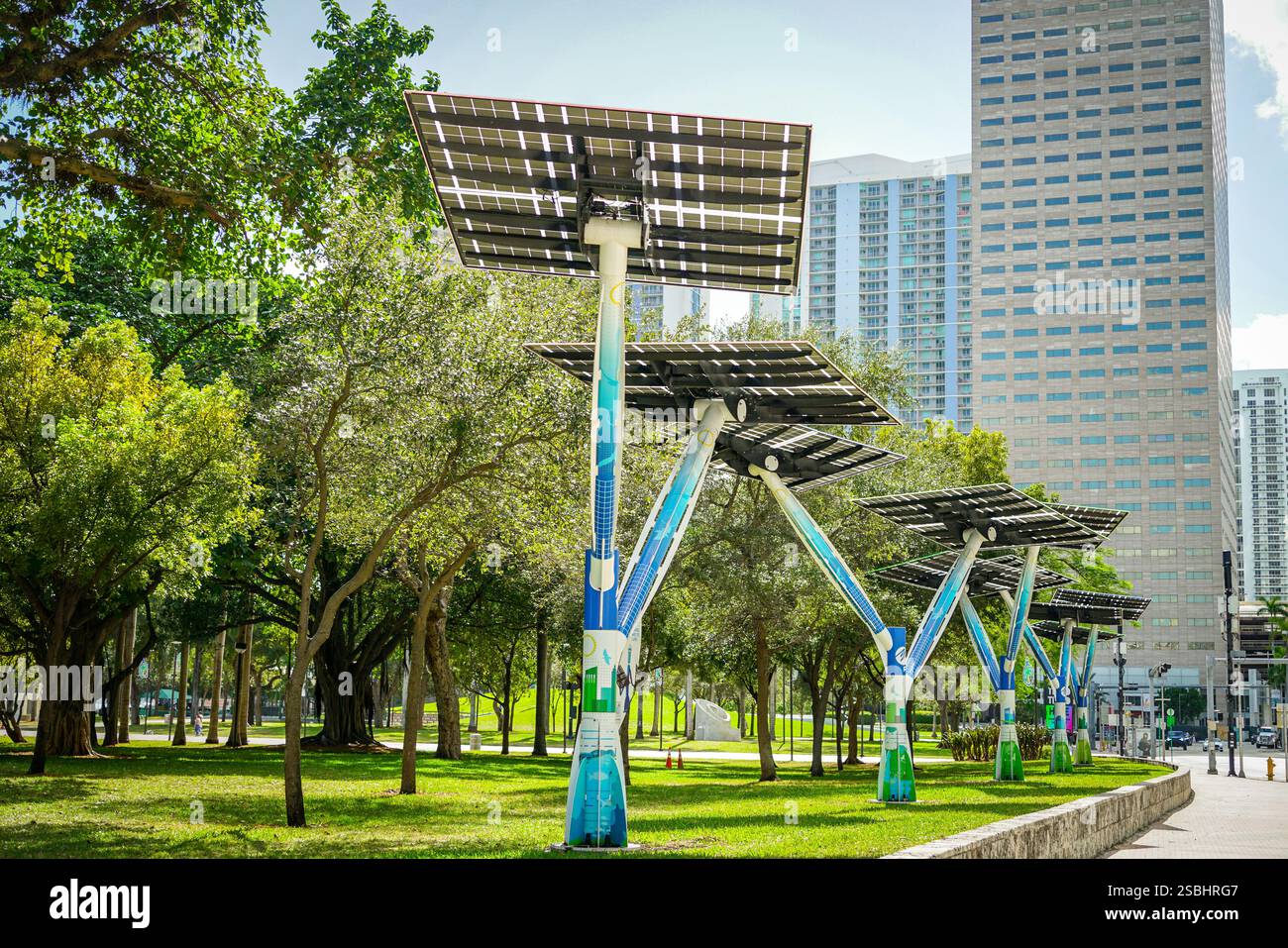 Solar panels palm trees solar panels palm tree hi-res stock photography ...