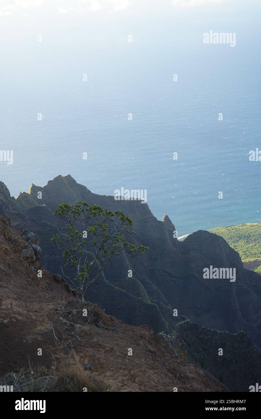 Hidden paradise secluded golden hi-res stock photography and images - Alamy