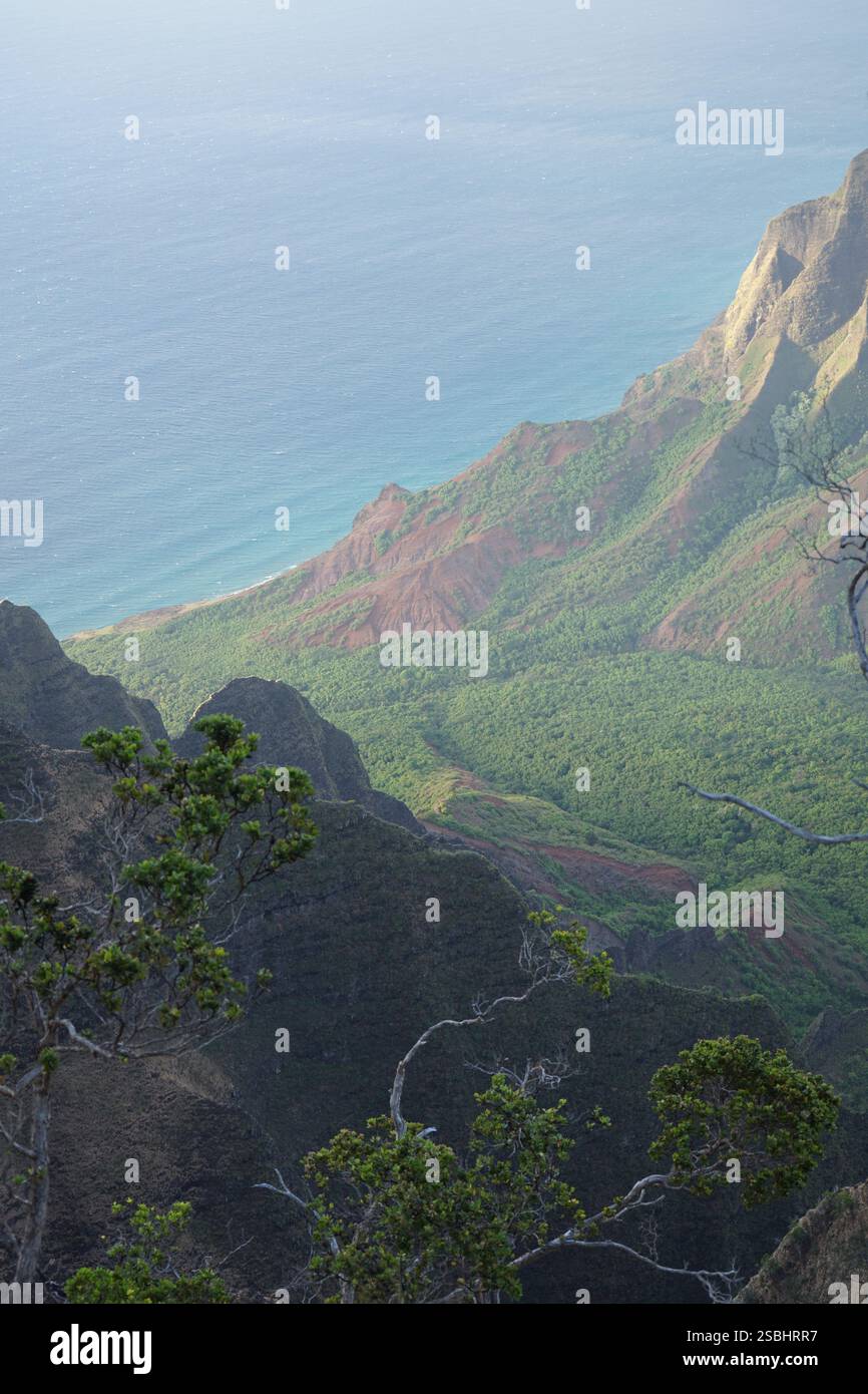 Na Pali Coast, Kauai—lush green valleys meet the Pacific, creating an ...