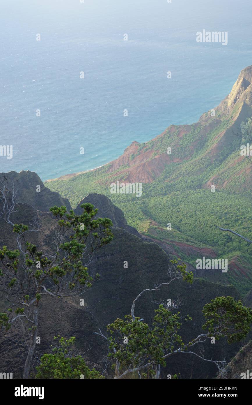 Na Pali Coast, Kauai—lush green valleys meet the Pacific, creating an ...