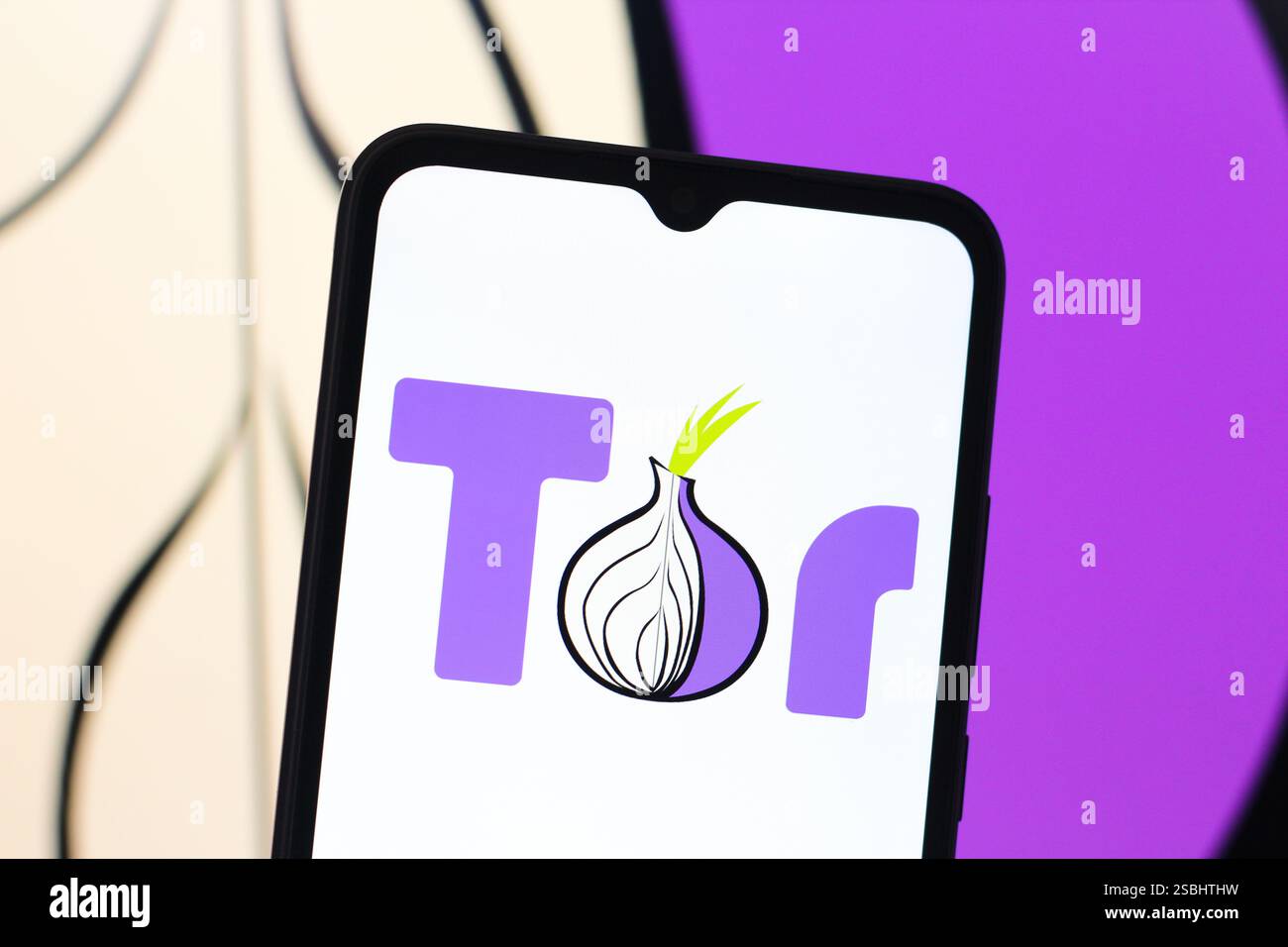 In this photo illustration, the Tor Browser logo is seen displayed on a ...